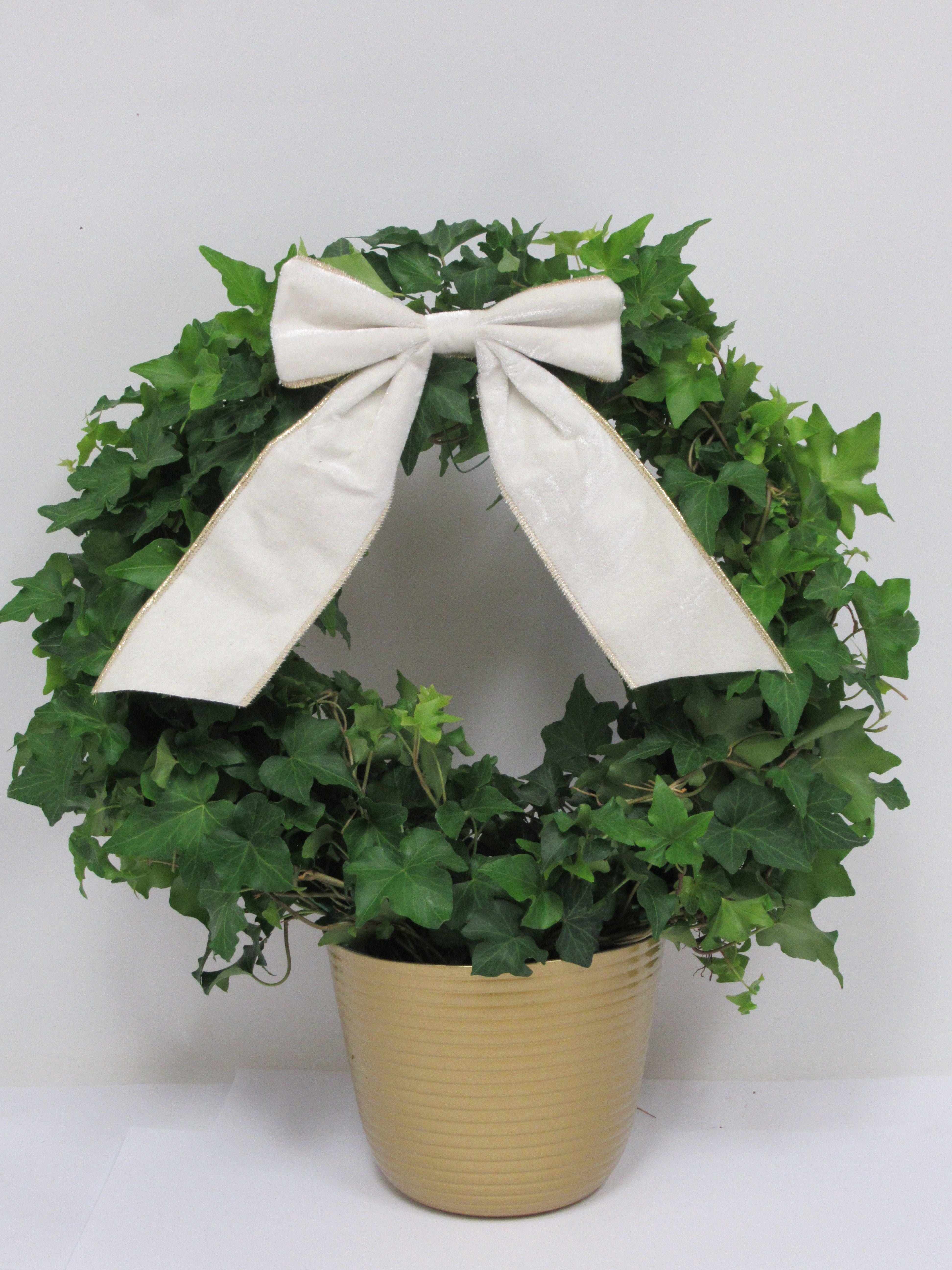 1.59QT TOPIARY GOLD CONTAINER W/BOW - Walmart.com