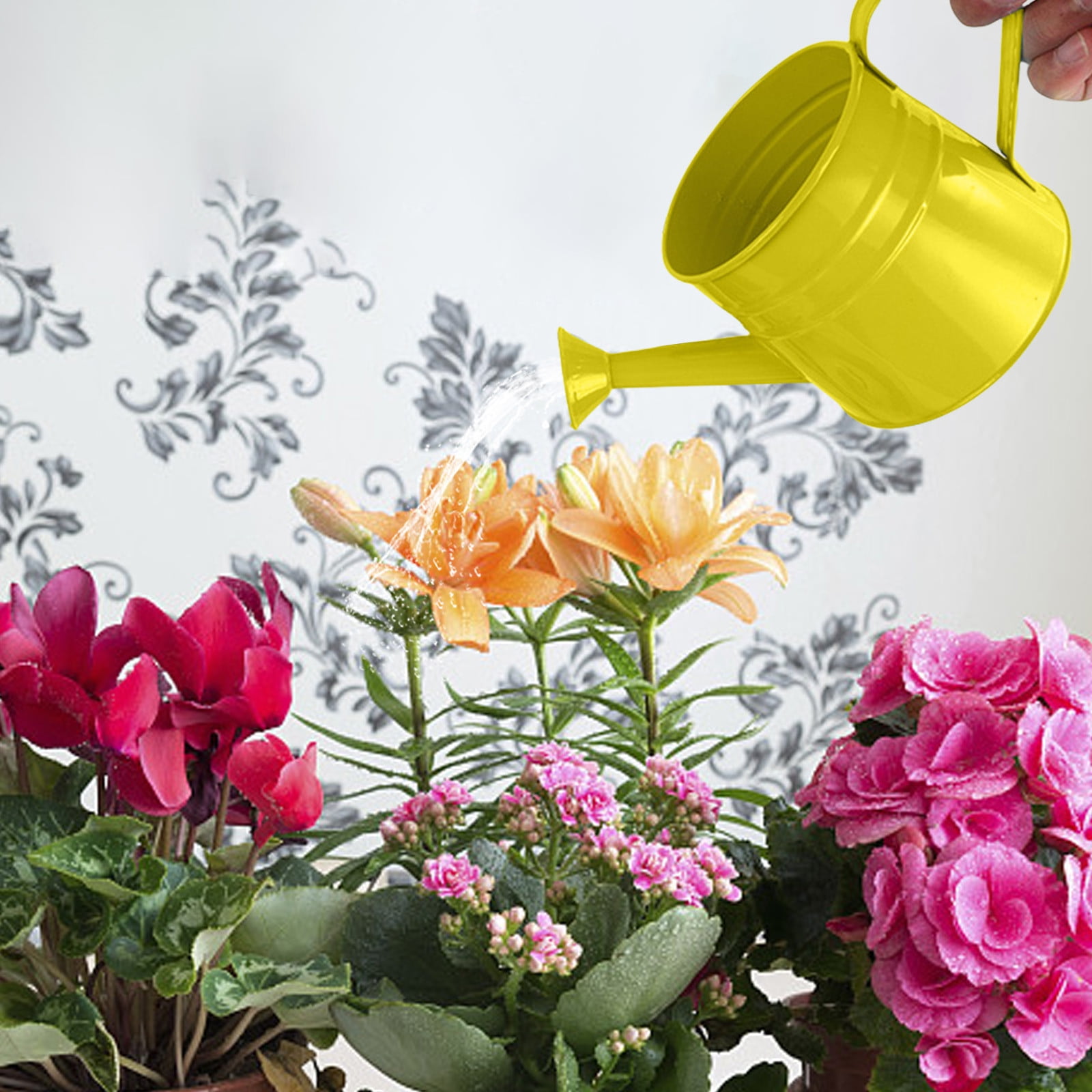 1.5L Vintage Style Metal Watering Can with Floral Design, Iron Garden ...