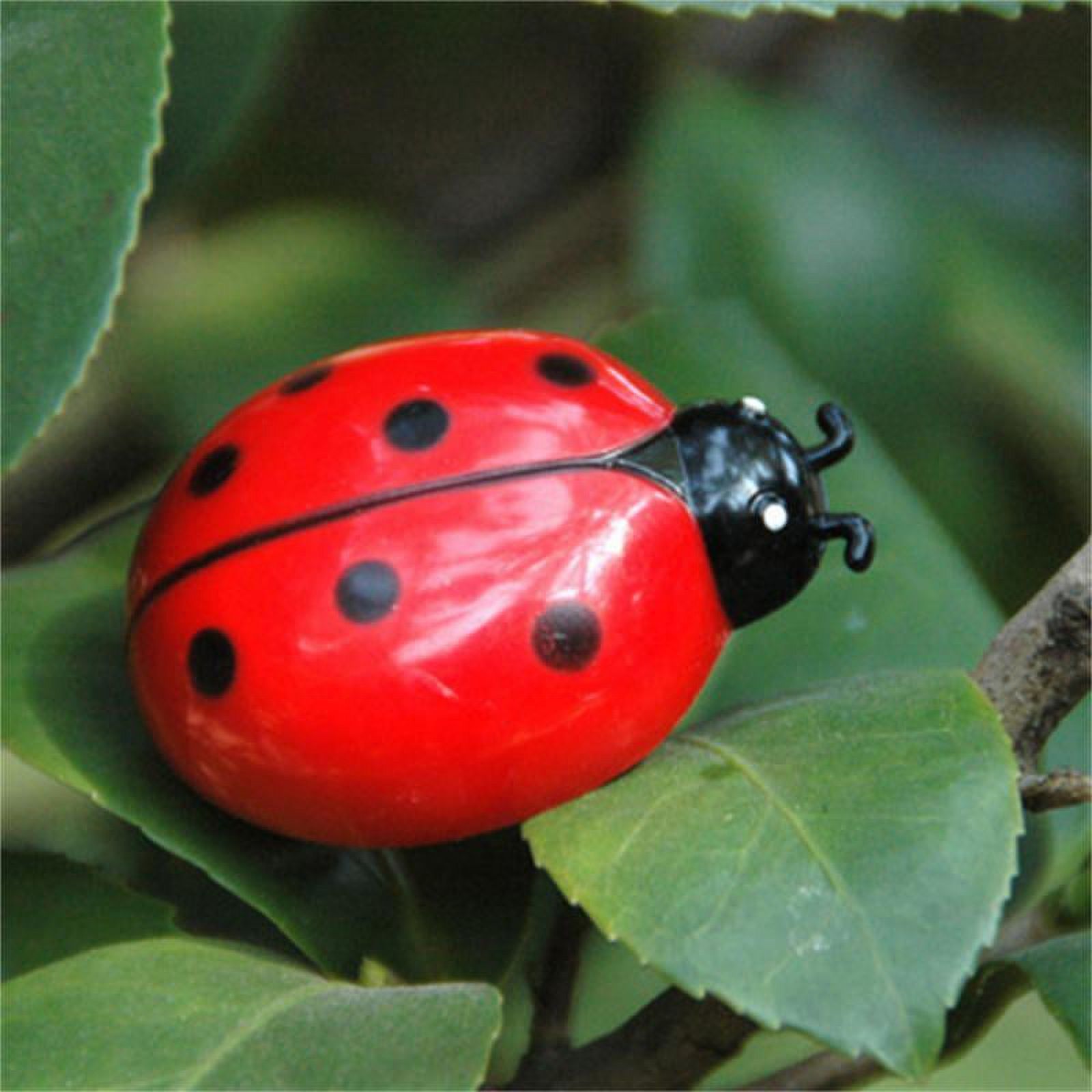 1~5PCS Electric Beetle Ladybug Simulation Animal Insect Toy Cat Toy ...