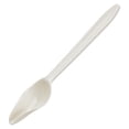 1/5PCS Feeding Spoon for Baby Bird Cockatiel Beak-Imitation Spoon ...