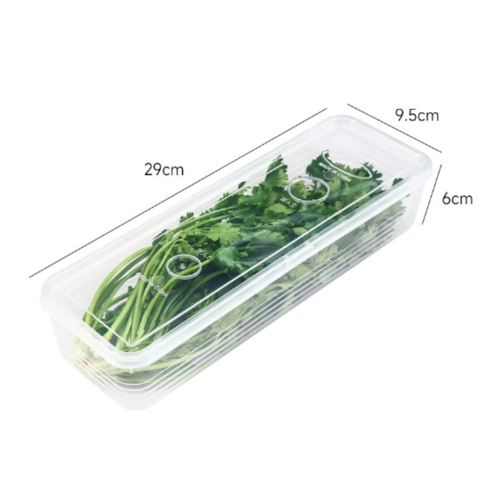 1/5PCS Refrigerator Storage Boxes Scallions Fresh Box Food Container ...