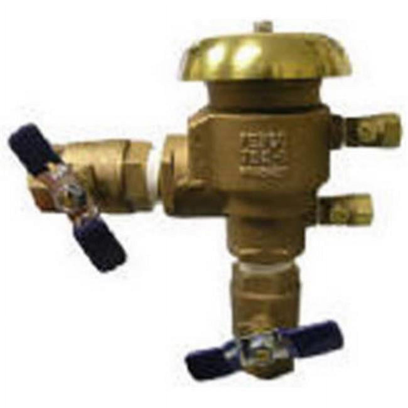 1 765EBV FEBCO 1 in. 765 Pressure Vacuum Breaker - Walmart.com