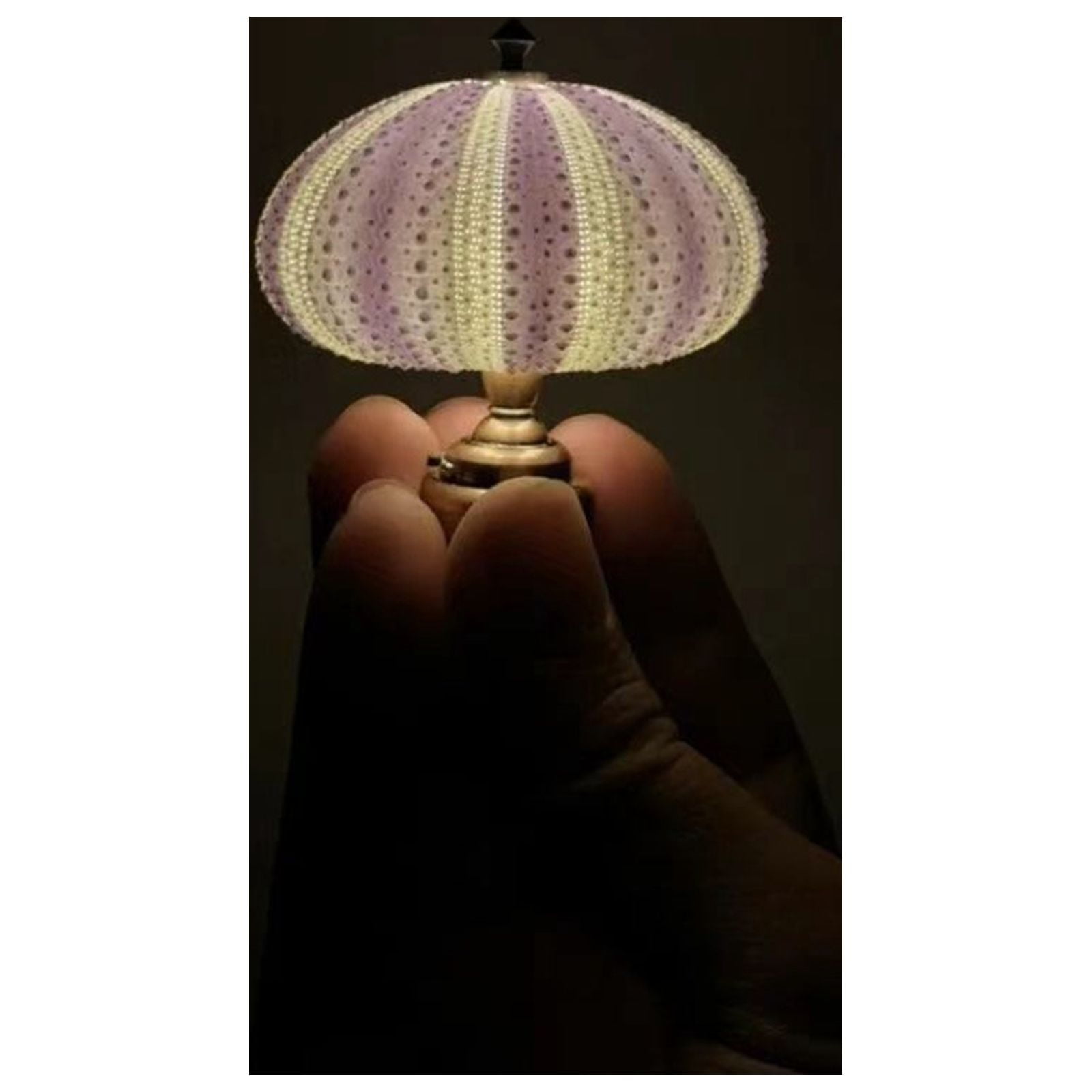 1.9in Mini Retro Sea Urchin Night Light - Battery Powered Night Light ...