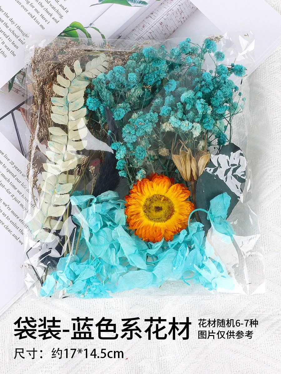 1 Bag DIY Natural Plants Dried Starry Sky Flowers Preserved Materials ...