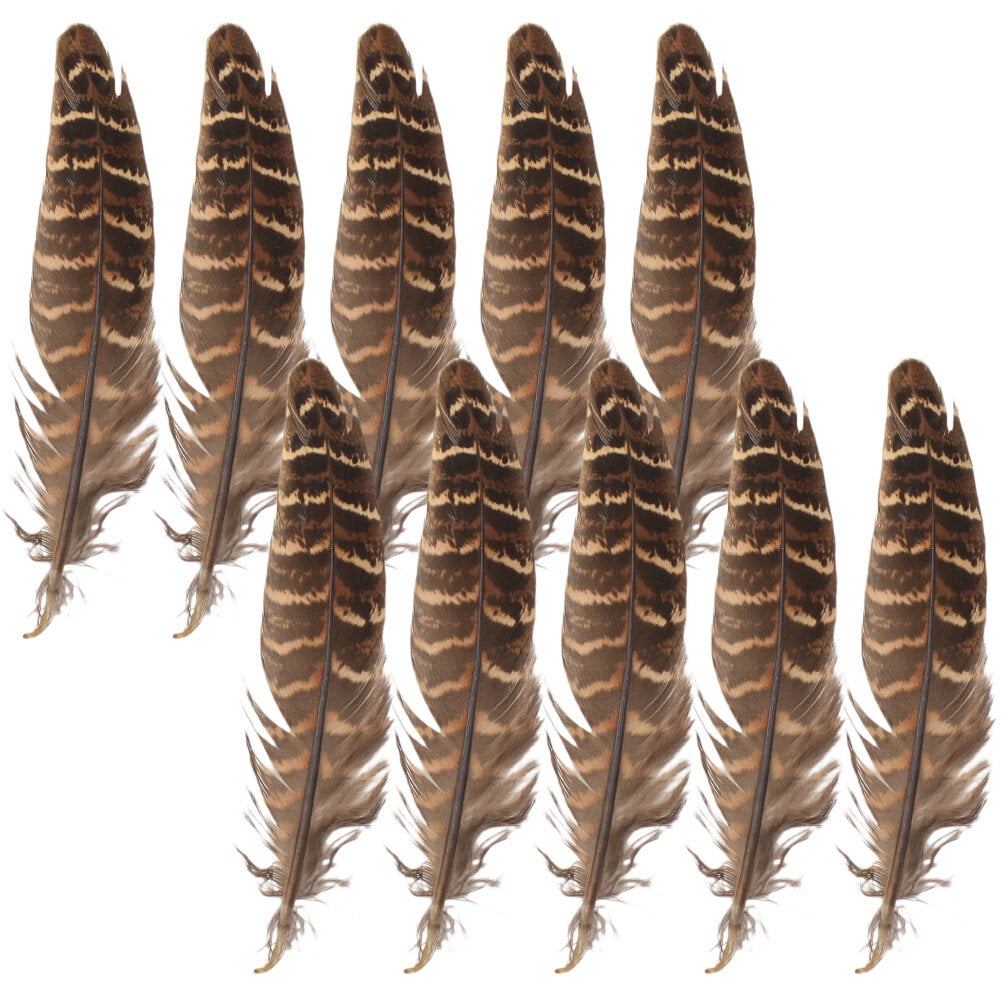 1 Bag Natural Pheasant Plumes DIY Pheasant Tails Plumage Soft Native ...