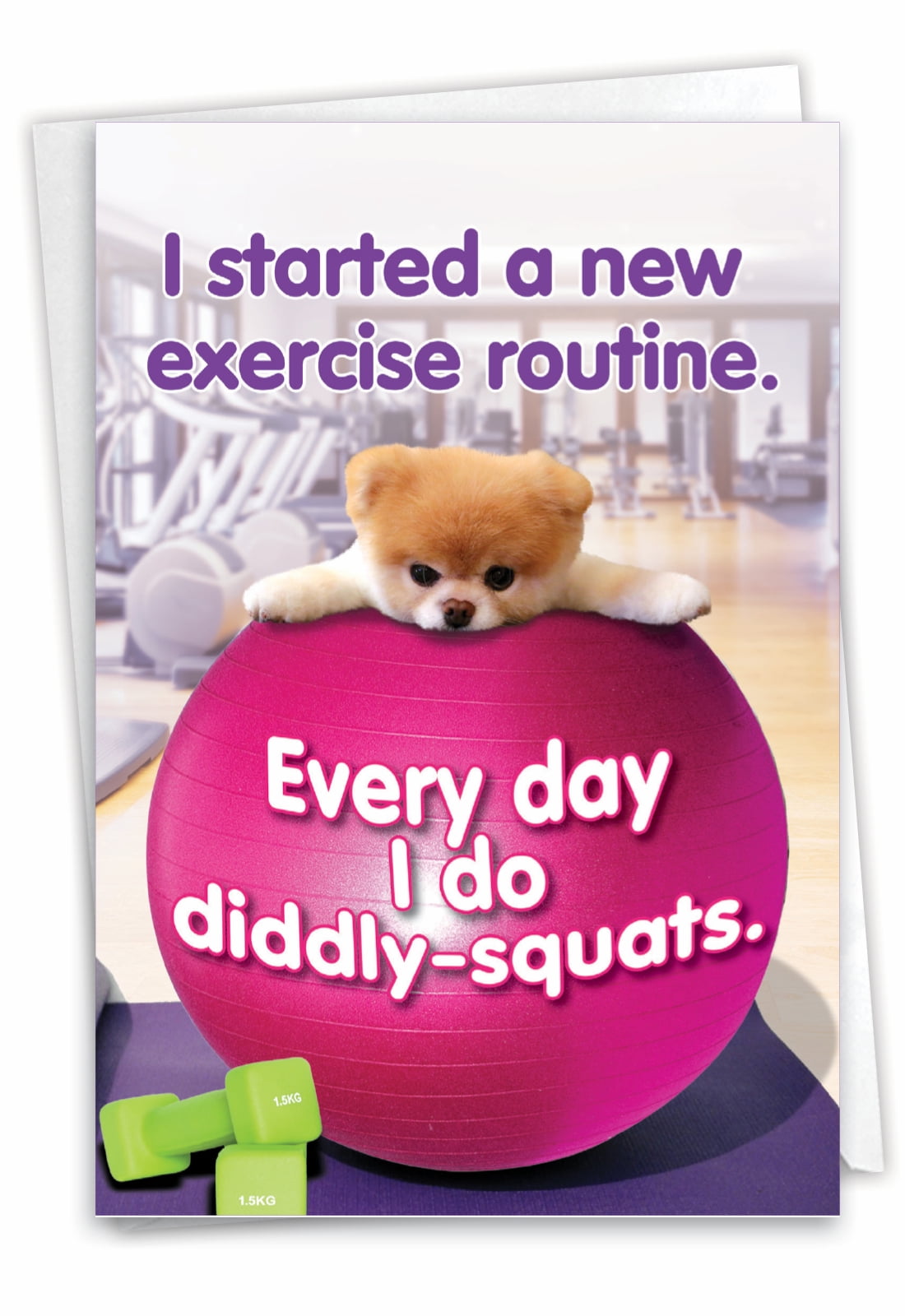 1 Birthday Card with Envelope - Boo's New Exercise Routine C6870BDG ...