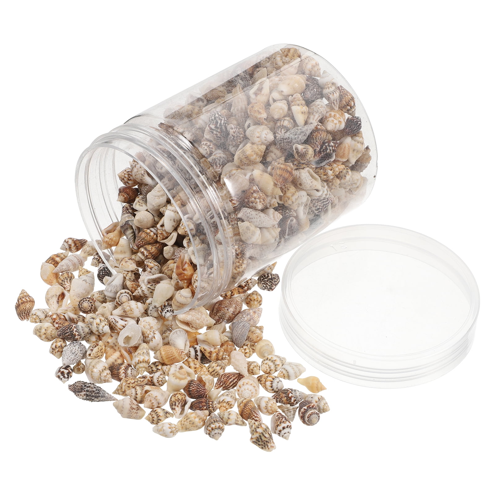 1 Bottle Tiny Sea Shells Small Natural Mixed Ocean Beach Spiral ...