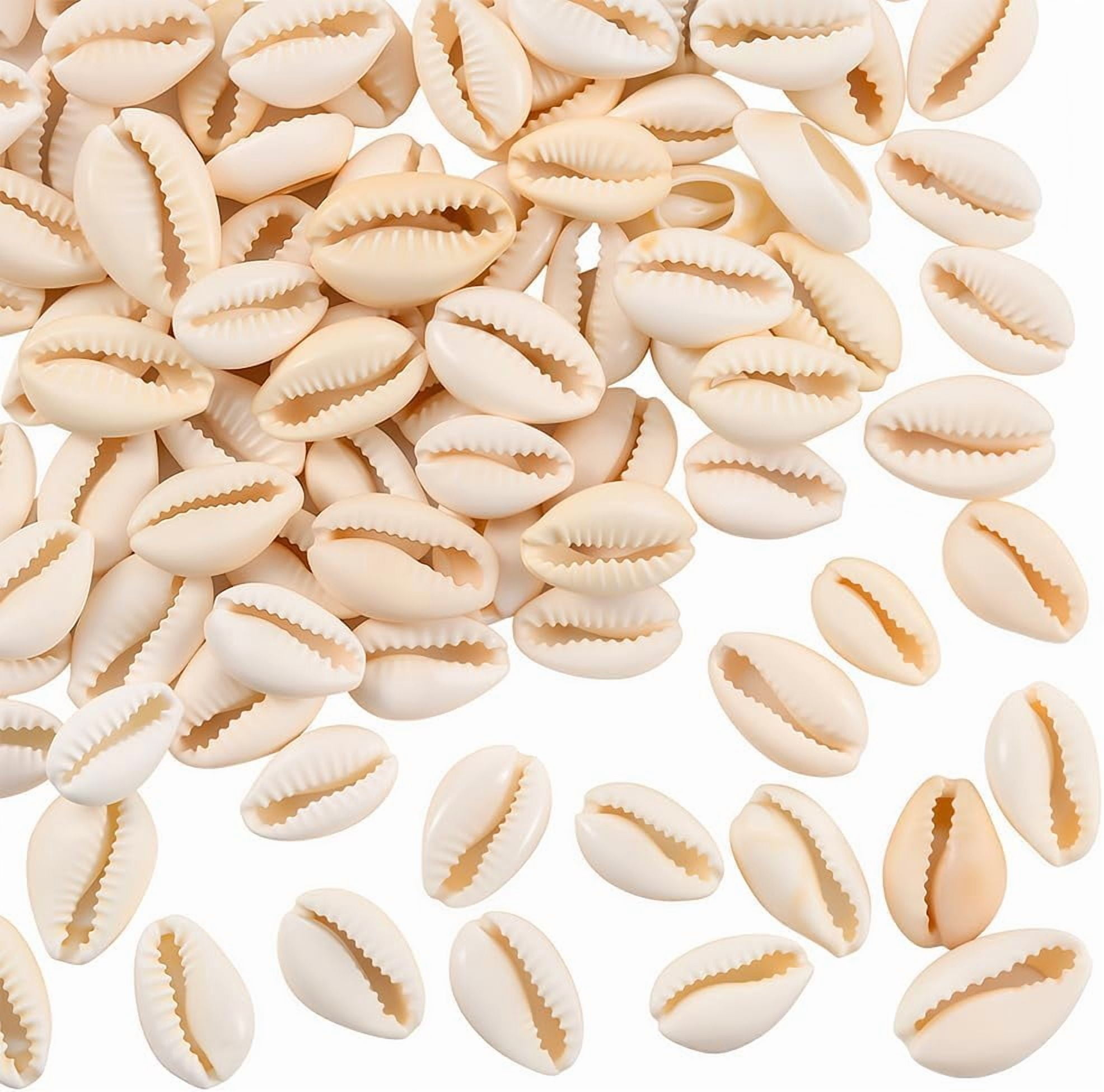 1 Box 100PCS 16~18MM Natural Cowrie Shell Beads Spiral Shells Summer ...