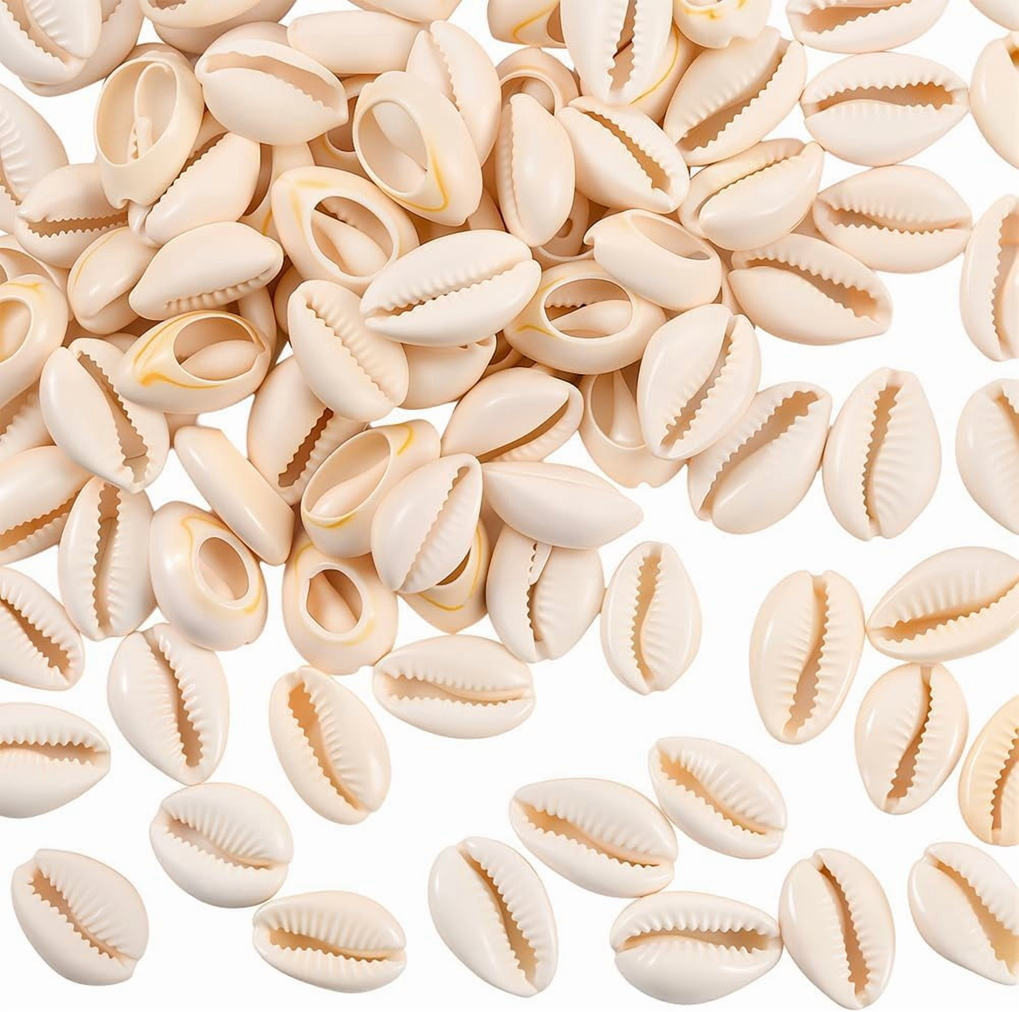 1 Box 100PCS 19~24MM Real Natural Cowrie Shell Beads Open Back Seashell ...