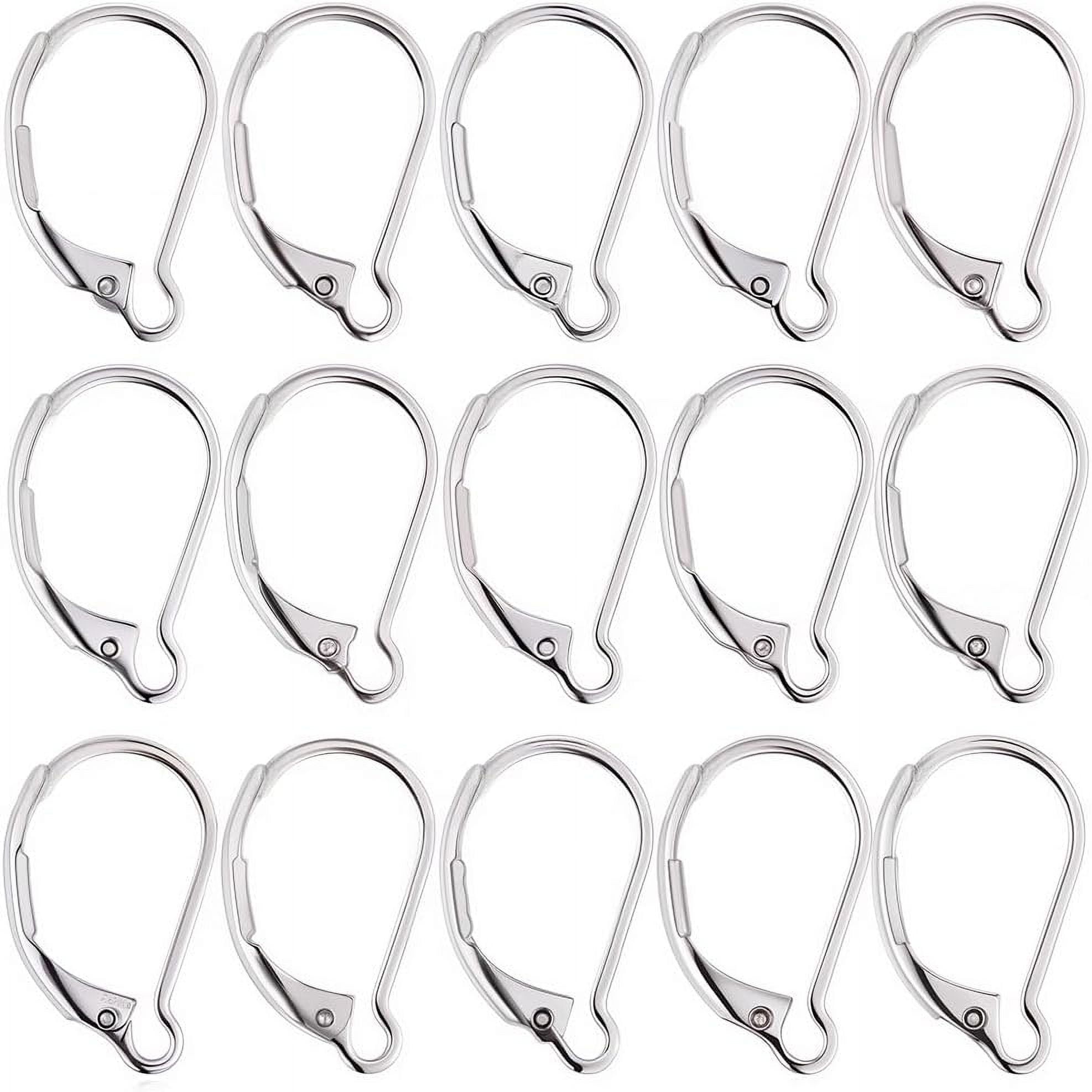 1 Box 100Pcs Stainless Steel Earring Hooks Leverback Earring Findings ...