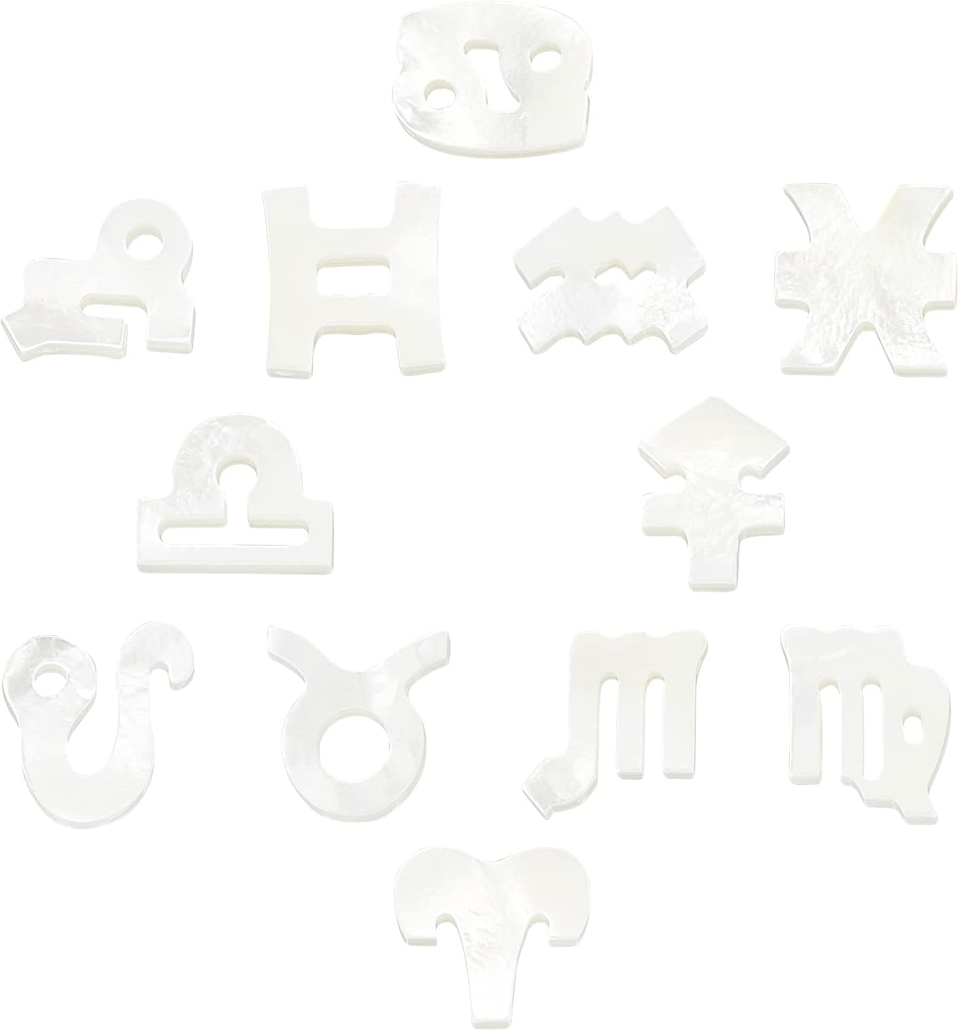 1 Box 12 Styles Zodiac Beads 12 Constellation Natural White Shell Beads ...
