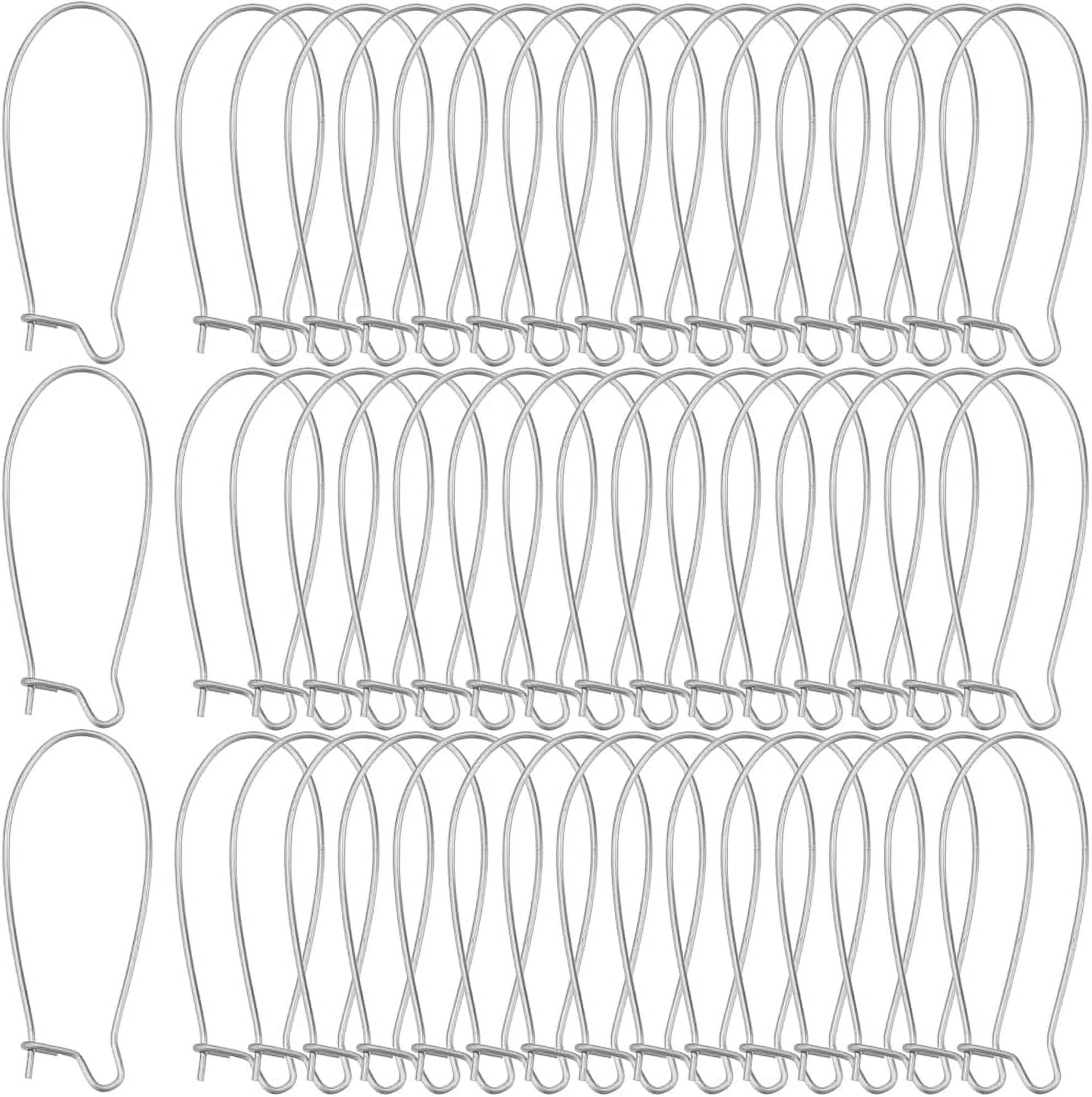 1 Box 120Pcs Kidney Wire Earring Hooks Silver Earring Wires Stainless ...