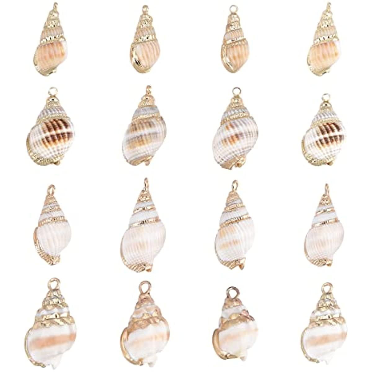 1 Box 16Pcs 4 Style Ocean Beach Spiral Seashells Craft Charms ...