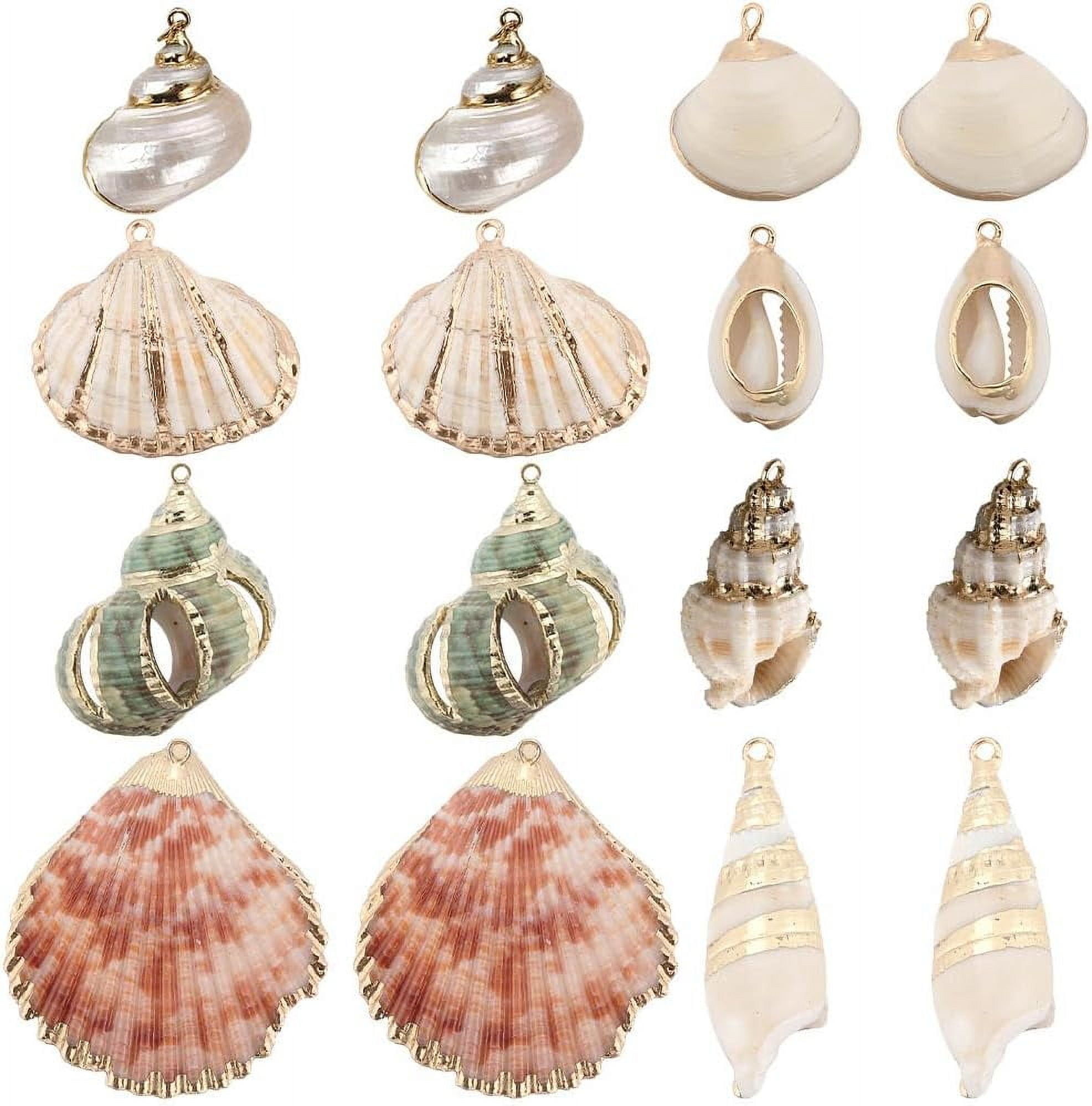 1 Box 16Pcs 8 Styles Natural Shell Charms Bulk Seashell Charm Summer ...