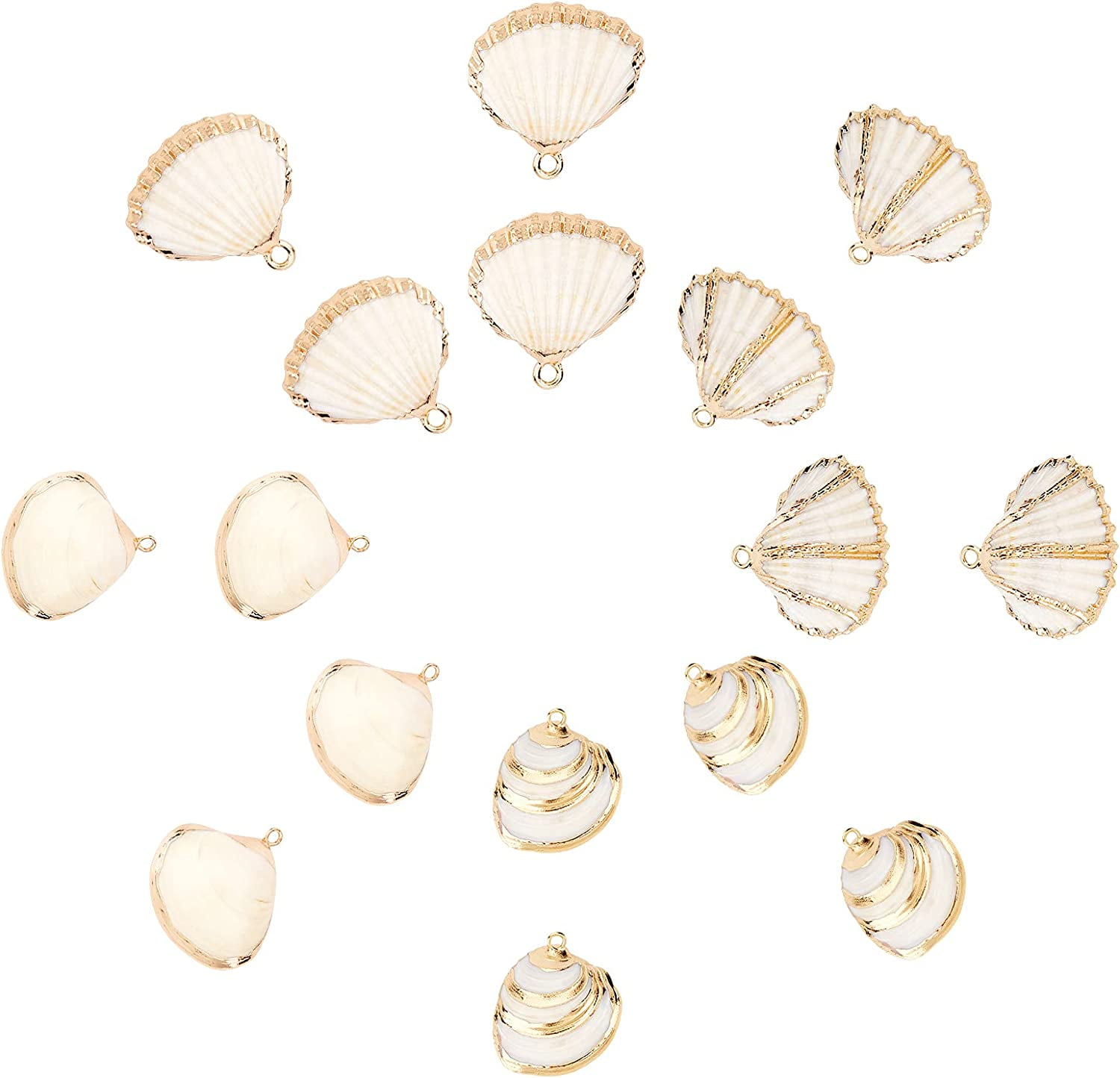 1 Box 16Pcs Seashell Charms Oval Ocean Beach Spiral Connectors Pendant ...