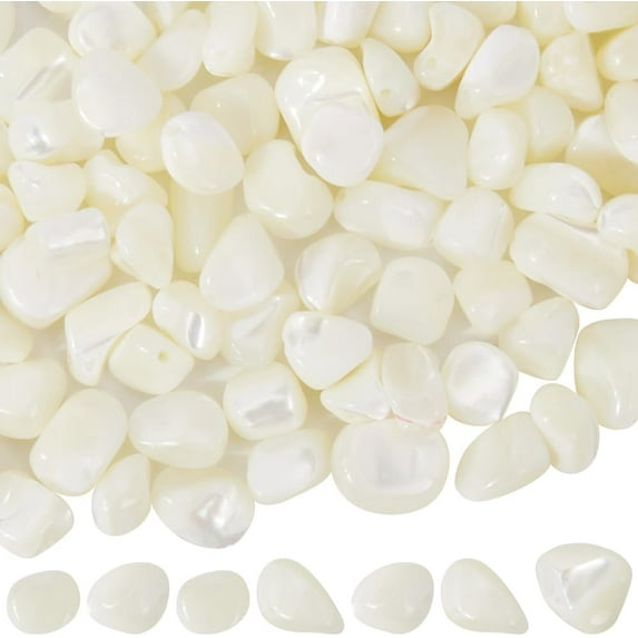 1 Box 2 Strands 100Pcs Ocean Shell Beads Natural Trochus Shell Bead ...