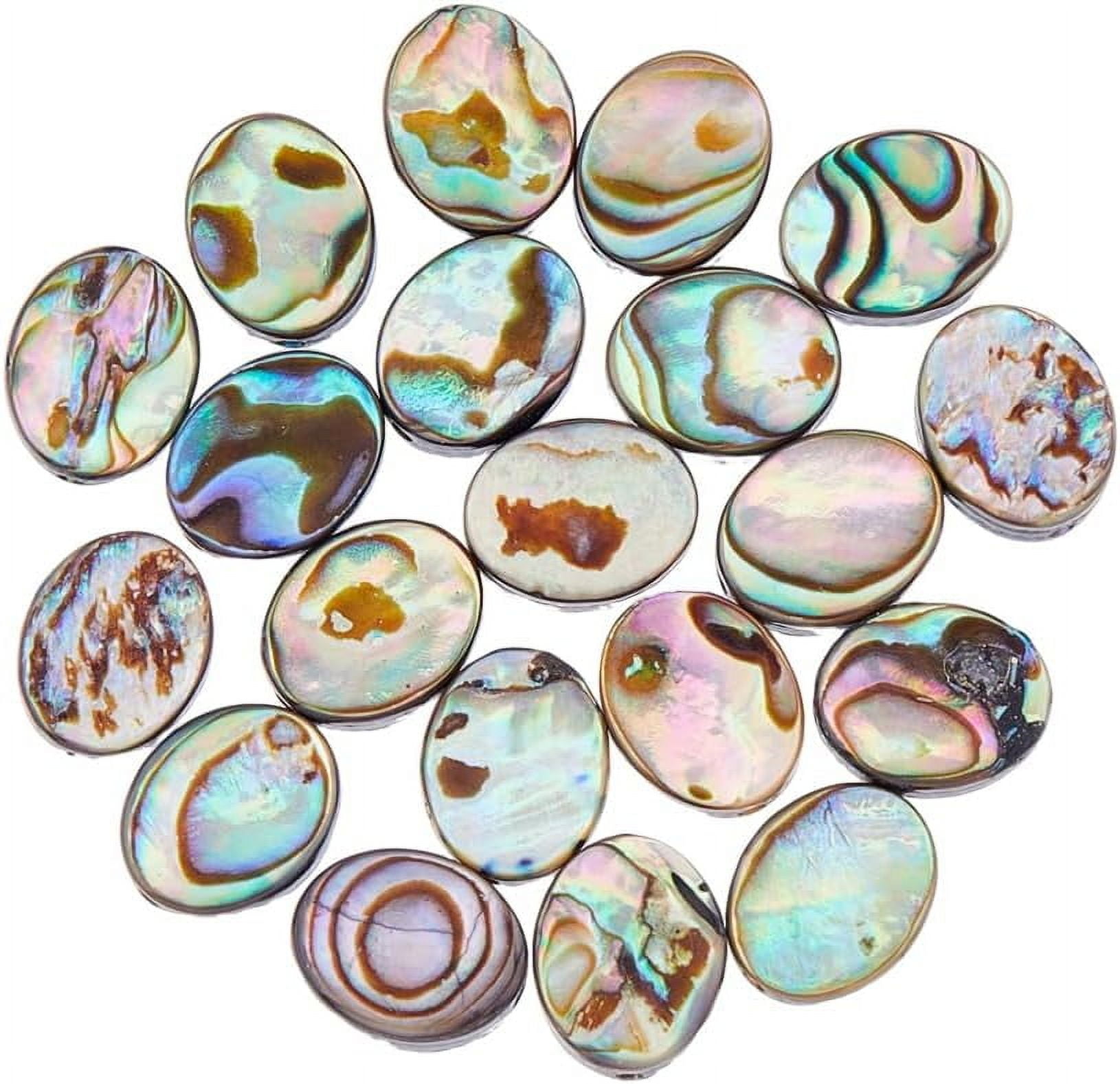 1 Box 20Pcs Natural Abalone Shell Beads Paua Shell Beads Flat Shell ...