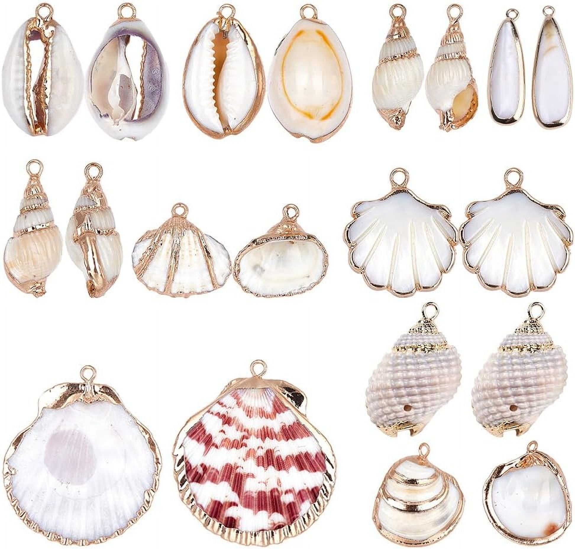 1 Box 20pcs 10 Styles Natural White Cowrie Seashells Charm Conch Shells ...