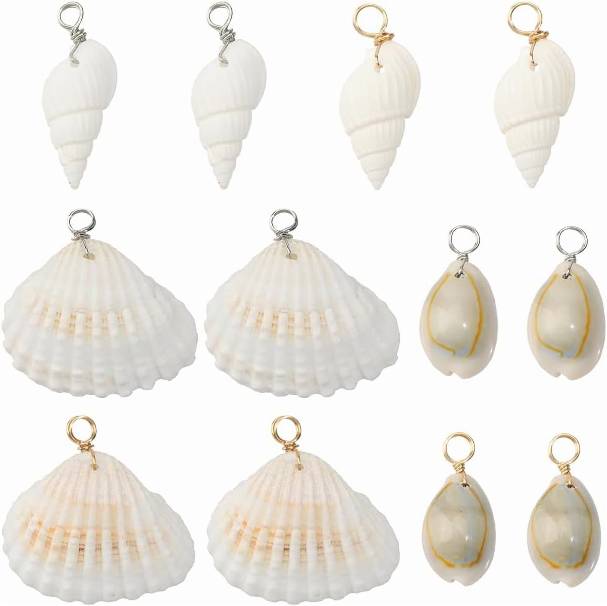 1 Box 24Pcs 6 Styles Conch Shell Charm Seashell Charms Bulk Natural ...