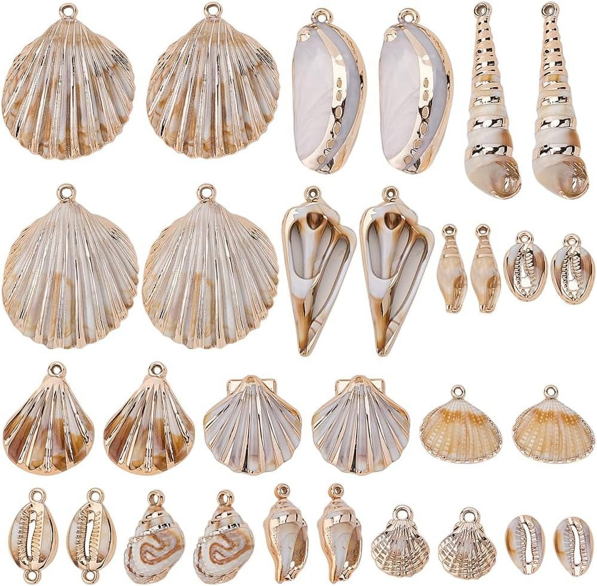1 Box 30Pcs 15 Styles Seashell Charms Large Acrylic Sea Shell Charms ...