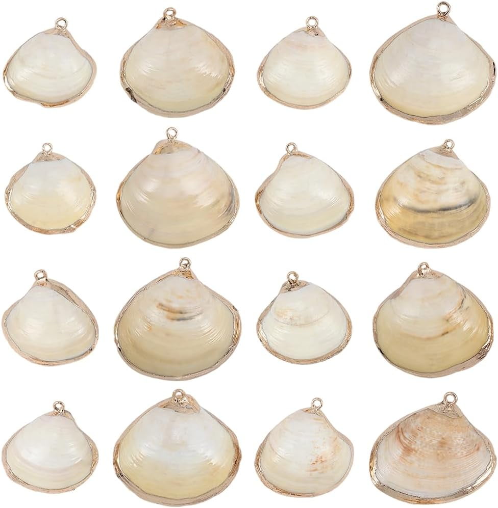 1 Box 30Pcs Natural Shell Charms White Shell Charms Golden ...