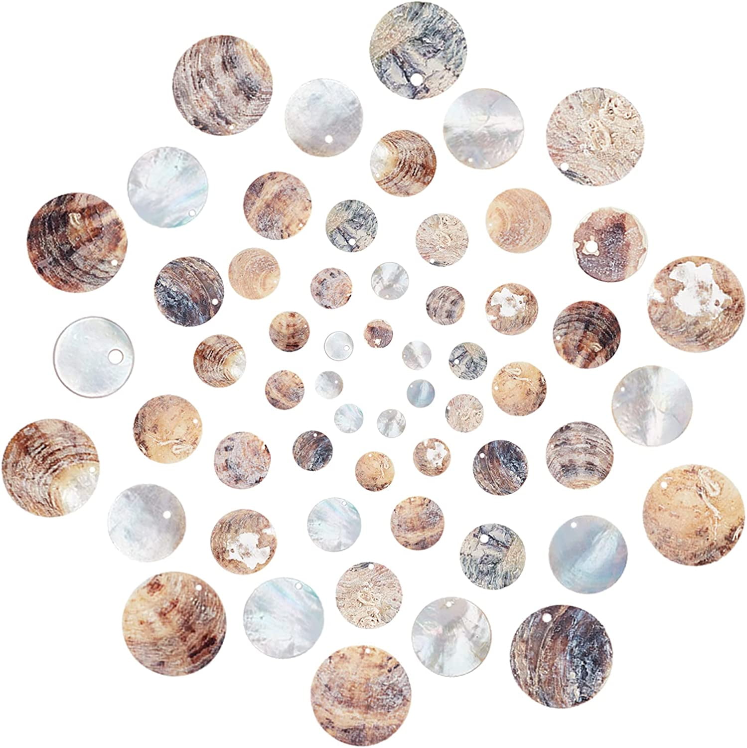 1 Box 60Pcs Natural Flat Round Seashells Pendant Mussel Shell Coin Drop ...