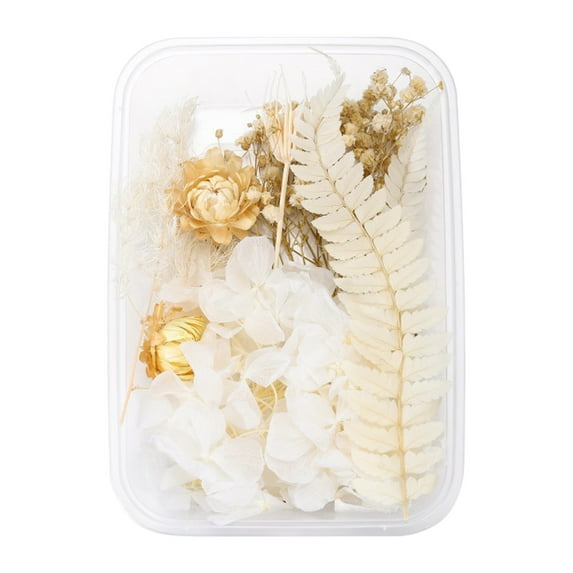 1 Box Real Dried Flower Resin Fillings Expoxy Flower For Epoxy Resin ...