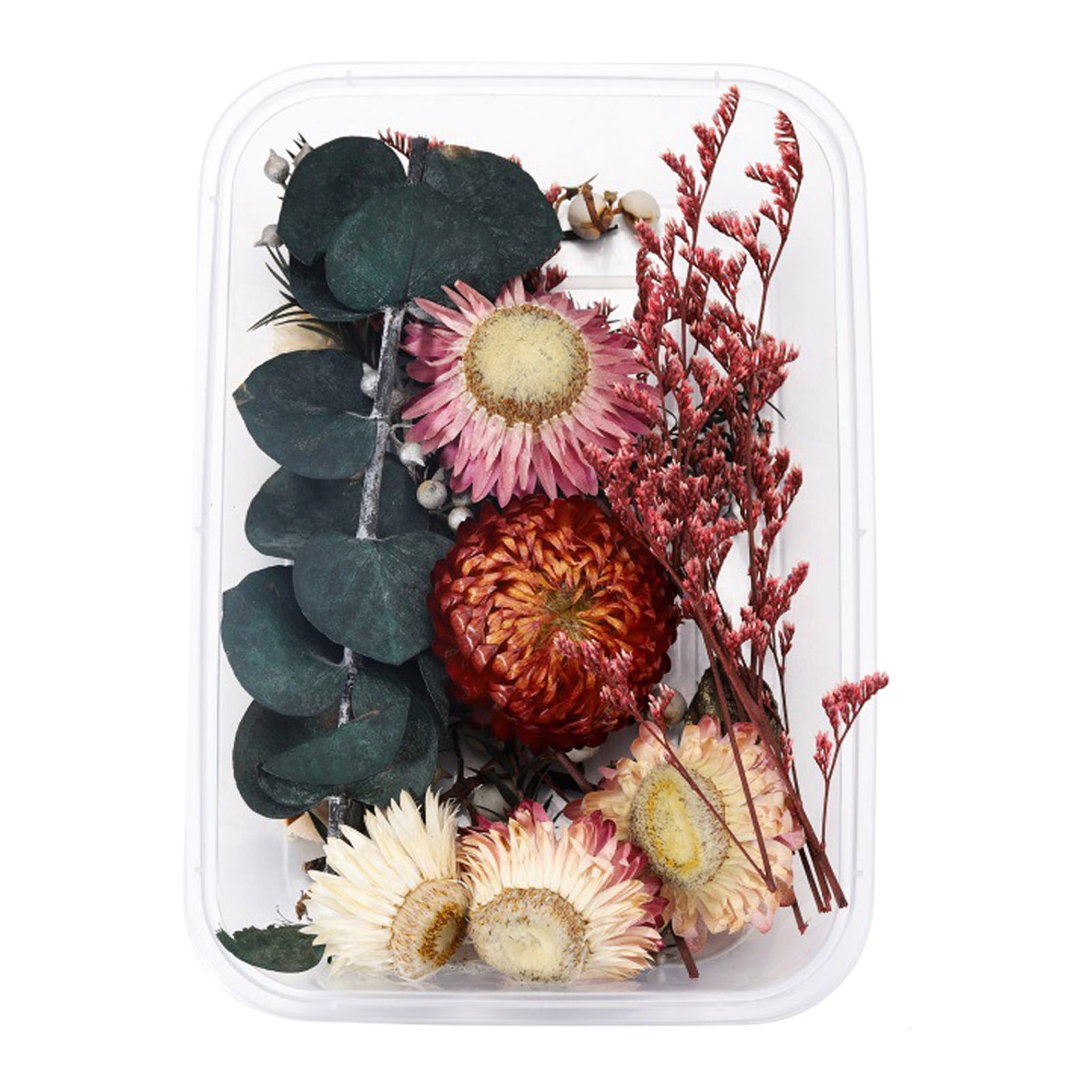 1 Box Real Dried Flower Resin Fillings - for Epoxy Resin Crafts, DIY ...