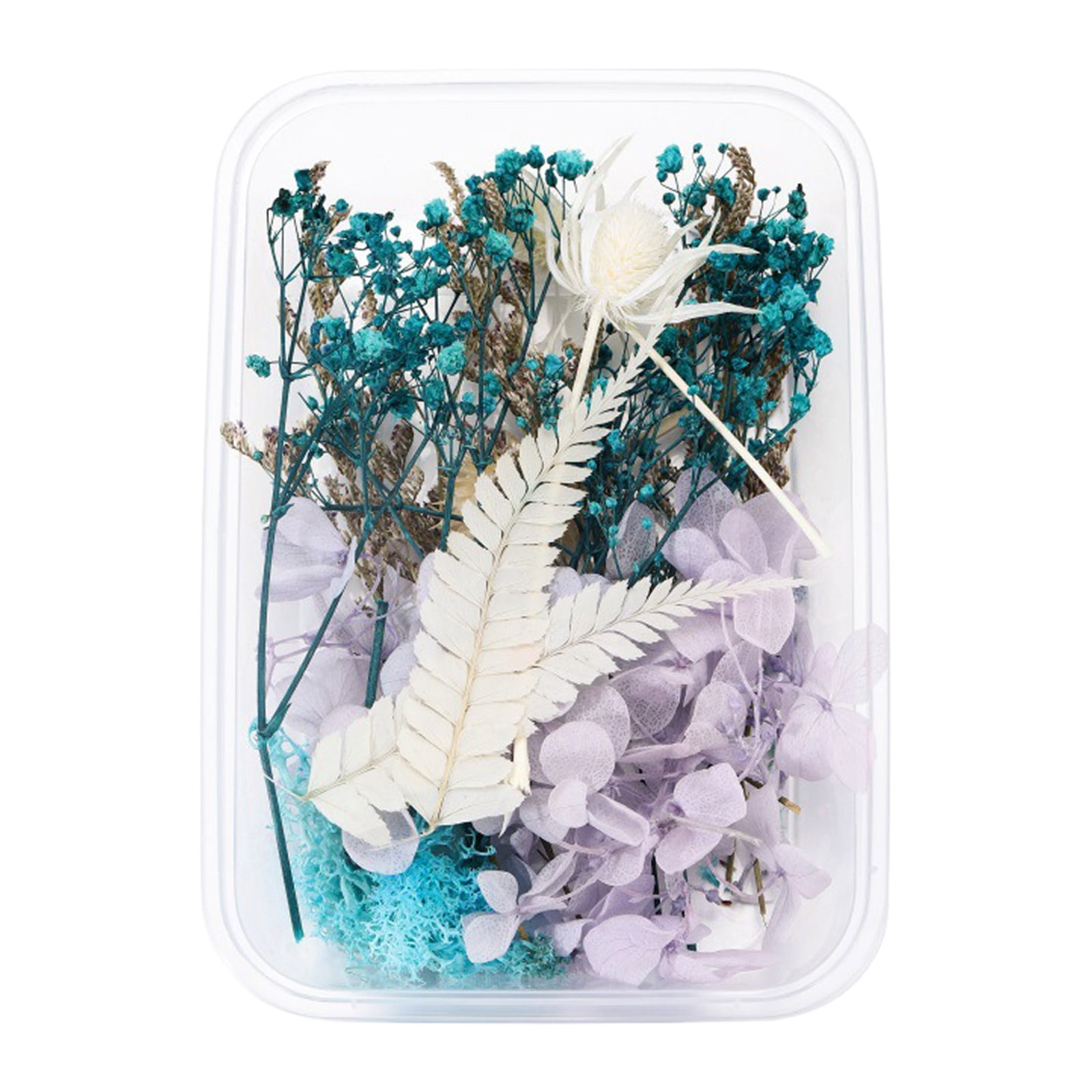 1 Box of Real Dried Flower Resin Fillings (Forget - Me - Not) for DIY ...