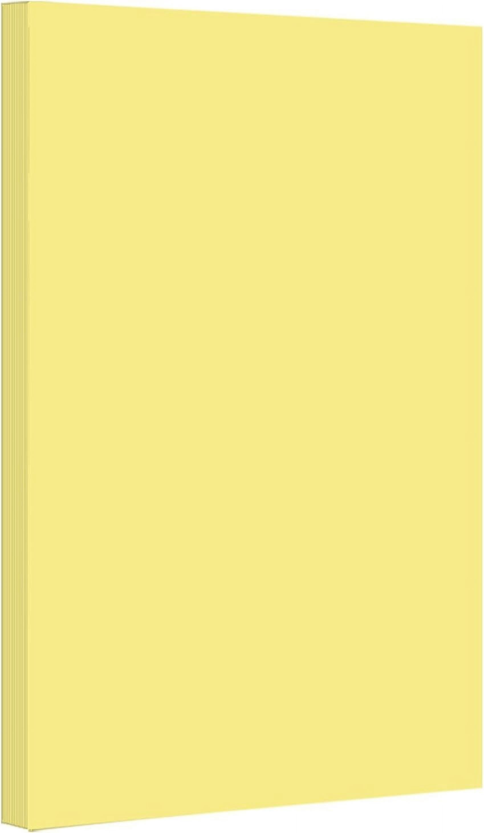 1 Case of 1000 Sheets, 11" x 17" Card Stock Paper, 67Lb Vellum Bristol ...