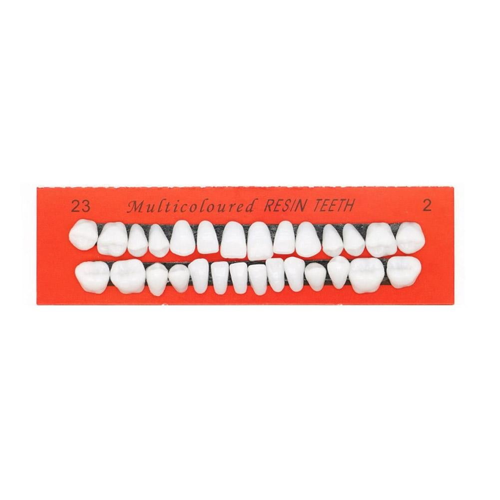 1 Dental Oral Material Teaching Mold - Walmart.com