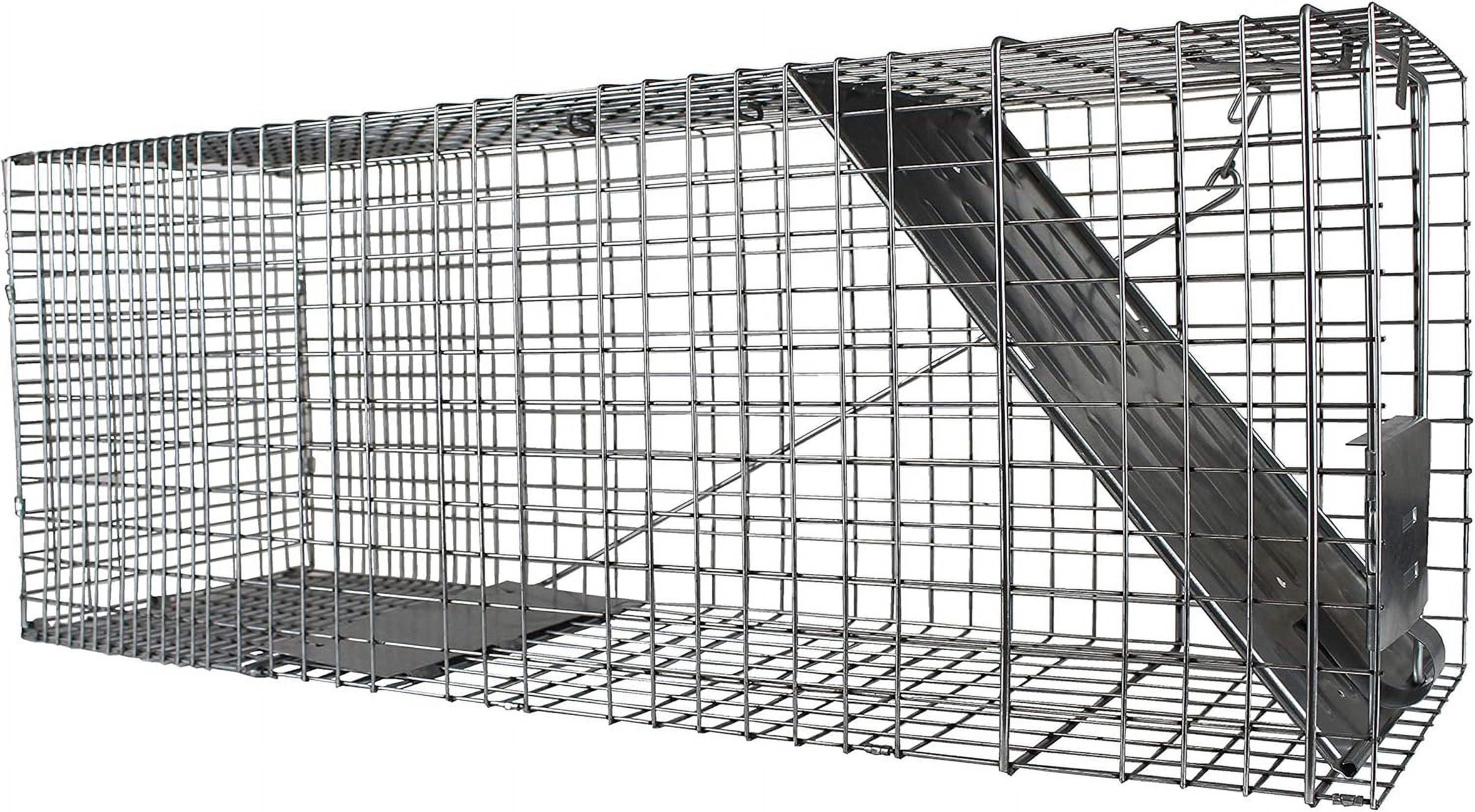 1-Door Humane Catch and Release Live Animal Trap Cage - Live Raccoon ...