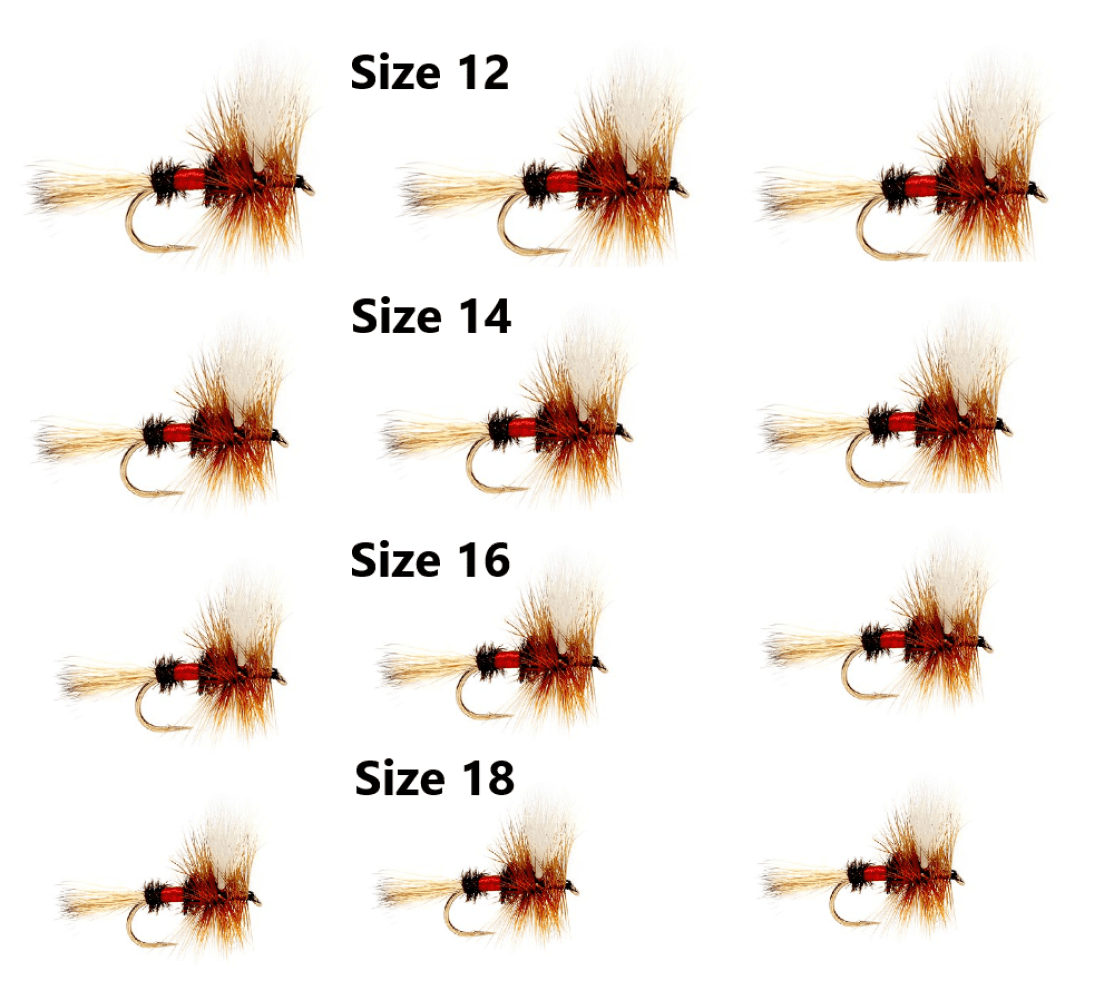 Evening Hatch Fly Fishing