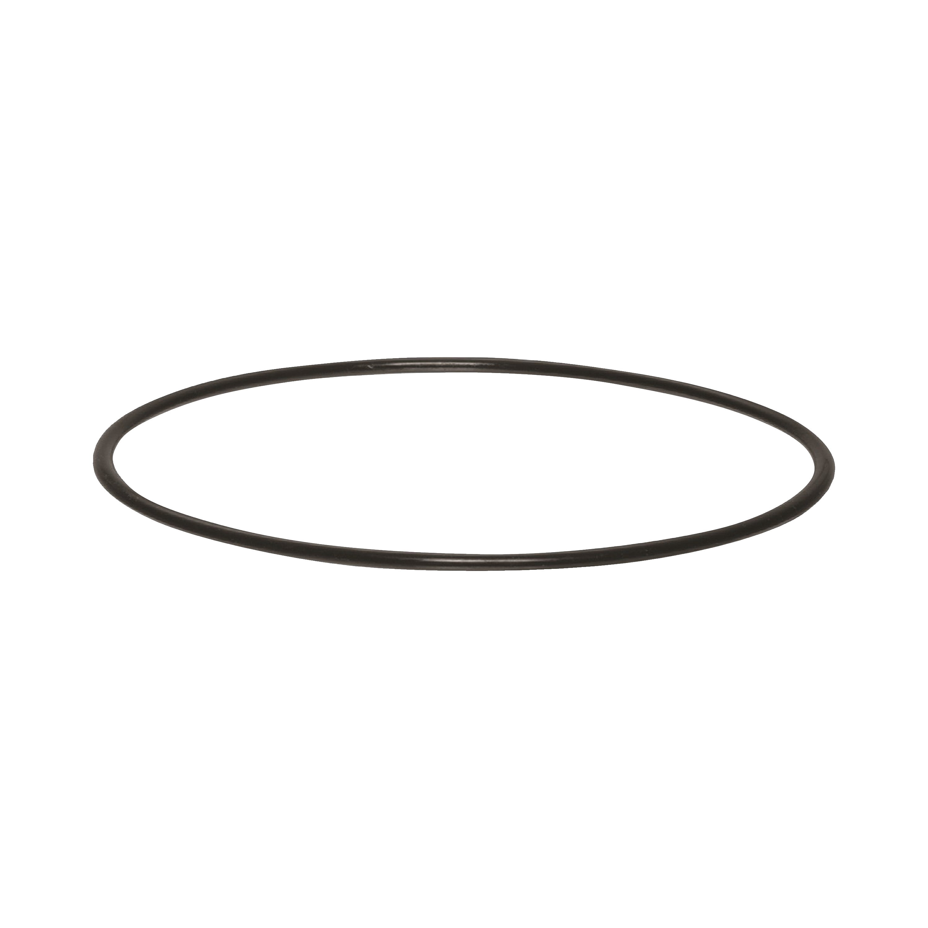 1" Filter O-Ring - Single Pack - Walmart.com