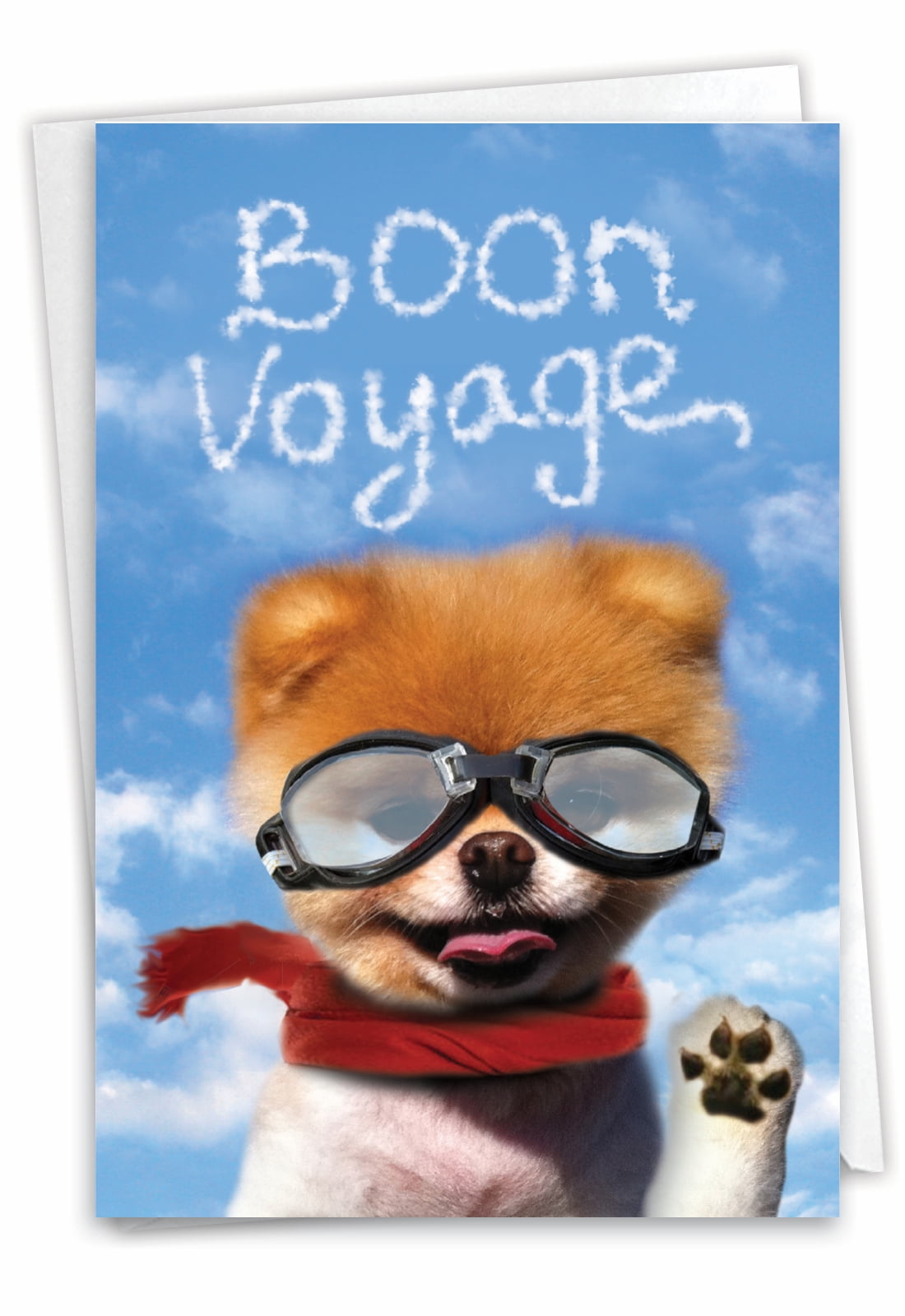 1 Funny Bon Voyage Card with Envelope - Boon Voyage Bon Voyage C6873BVG ...