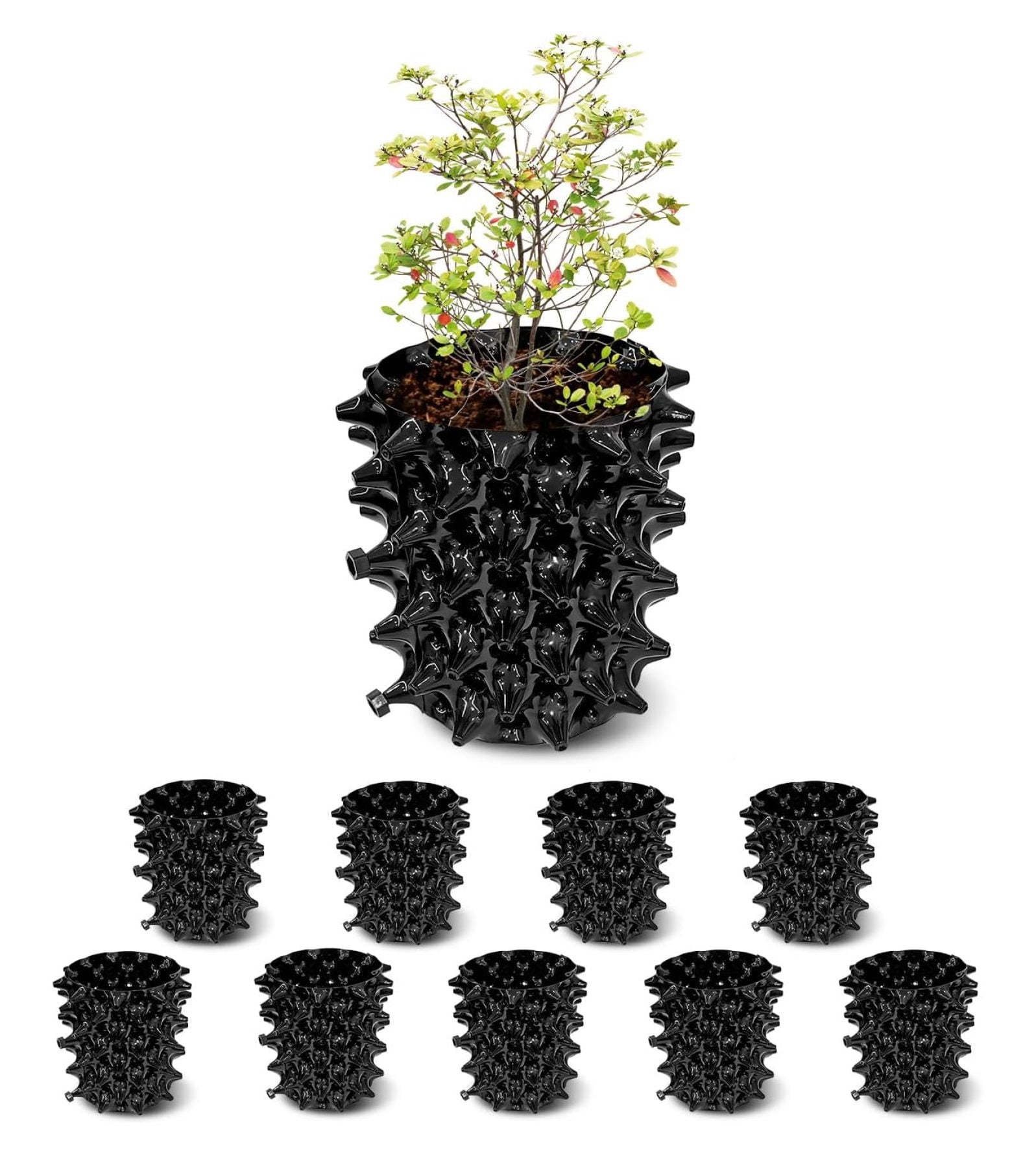 1 Gallon Air Pruning Containers New Plastic Nursery Pots Fruit ...