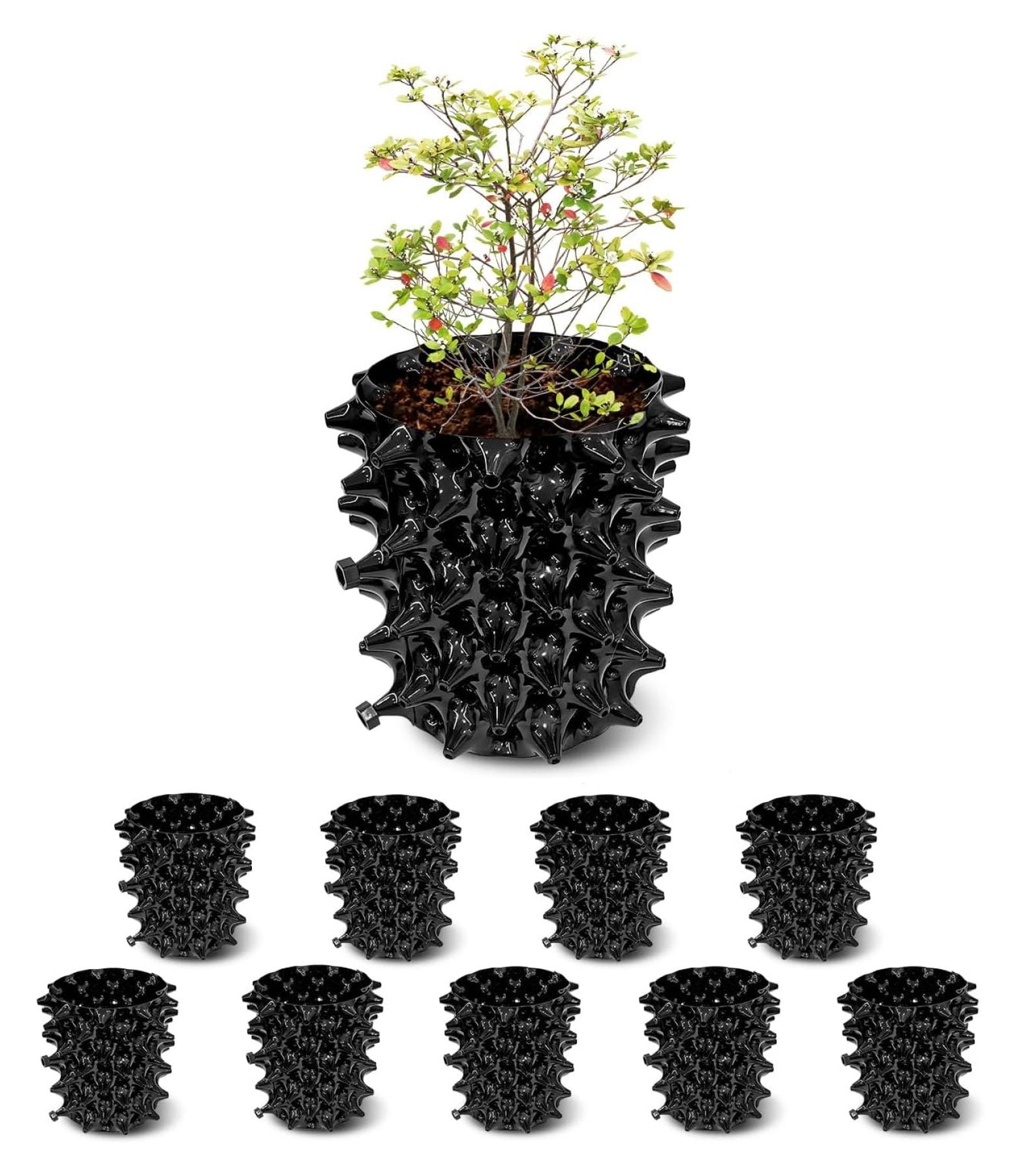 1 Gallon Air Pruning Containers New Plastic Nursery Pots Fruit ...