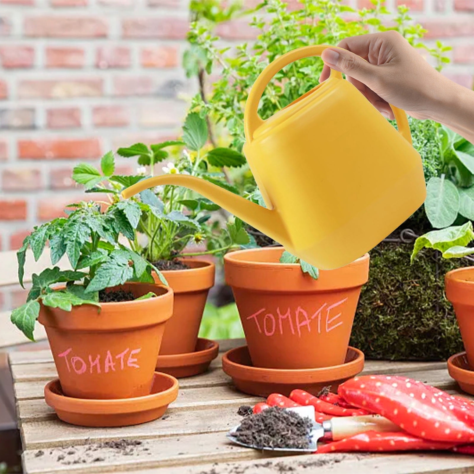 1 Gallon Long Spout Watering Can, Plastic Flower Patterns Indoor ...