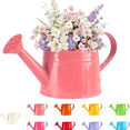 1 Gallon Matte Galvanized Metal Watering Can, Watering Can Metal ...