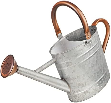 1 Gallon Metal Watering Can with Removable Spout, Nice Galvanized Steel ...