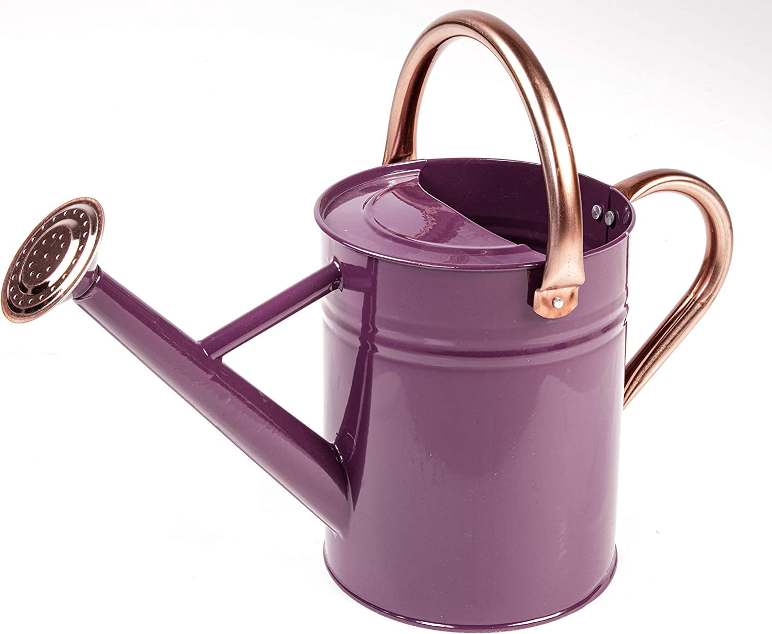 1 Gallon Watering Can - Walmart.com