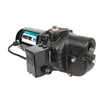 WAYNE SWS100-1 HP Cast Iron Shallow Jet Well Pump - Up to 513 Gallons ...