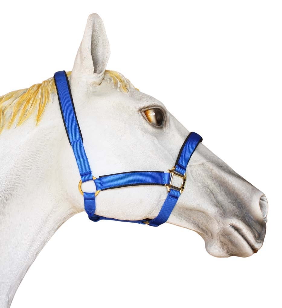 1" Horse Western Nylon Web Padded Halter Brass Plated Hardware Lead ...