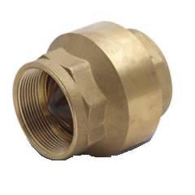 1" In-Line Check Valve Cash Acme 22511-0000 - Walmart Business Supplies