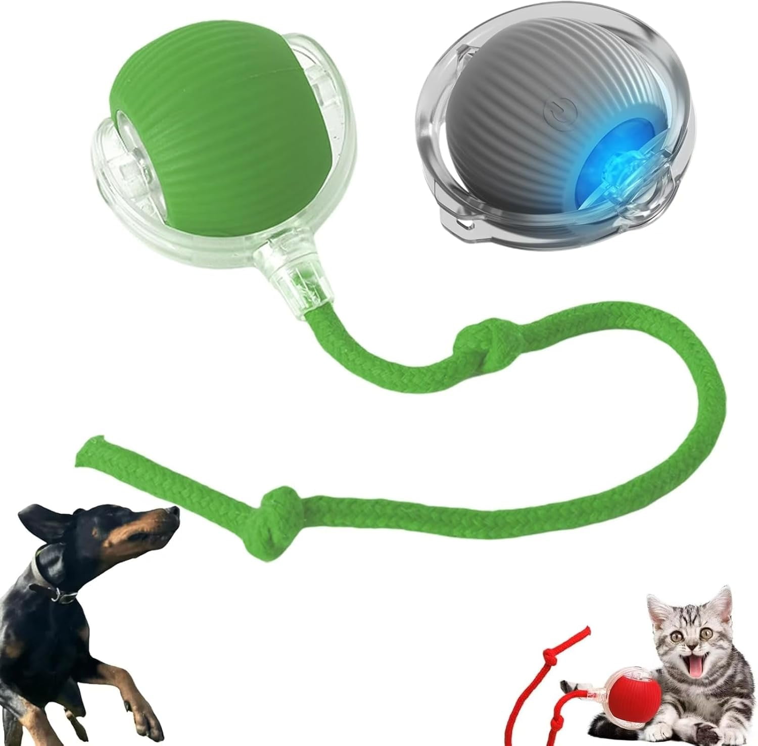 1 of Interactive Cat Toys Rolling Ball Chewie Viral Dog Ball, Chewie ...