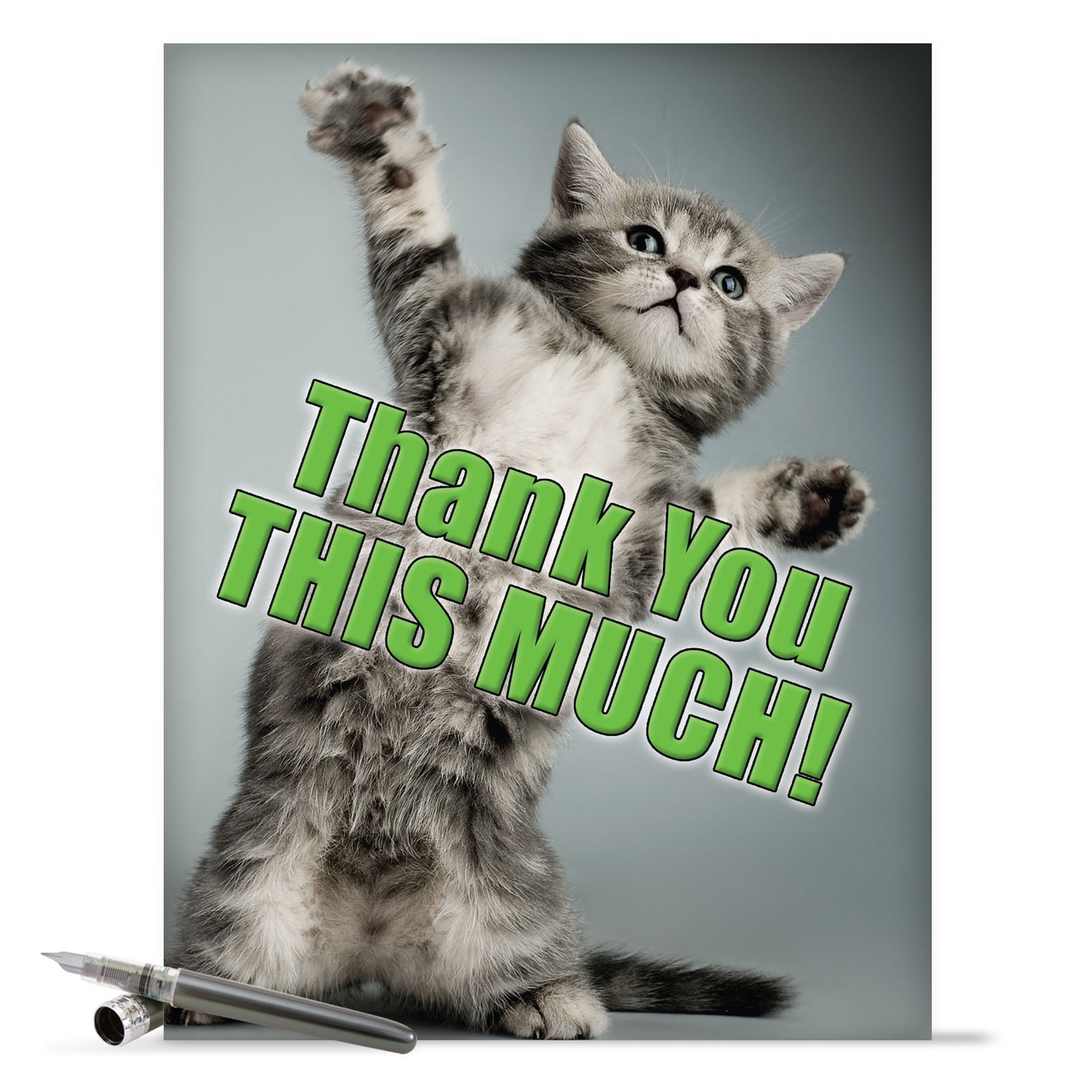 1 Jumbo Funny Thank You Greeting Card (8.5 x 11 Inch) - This Much ...
