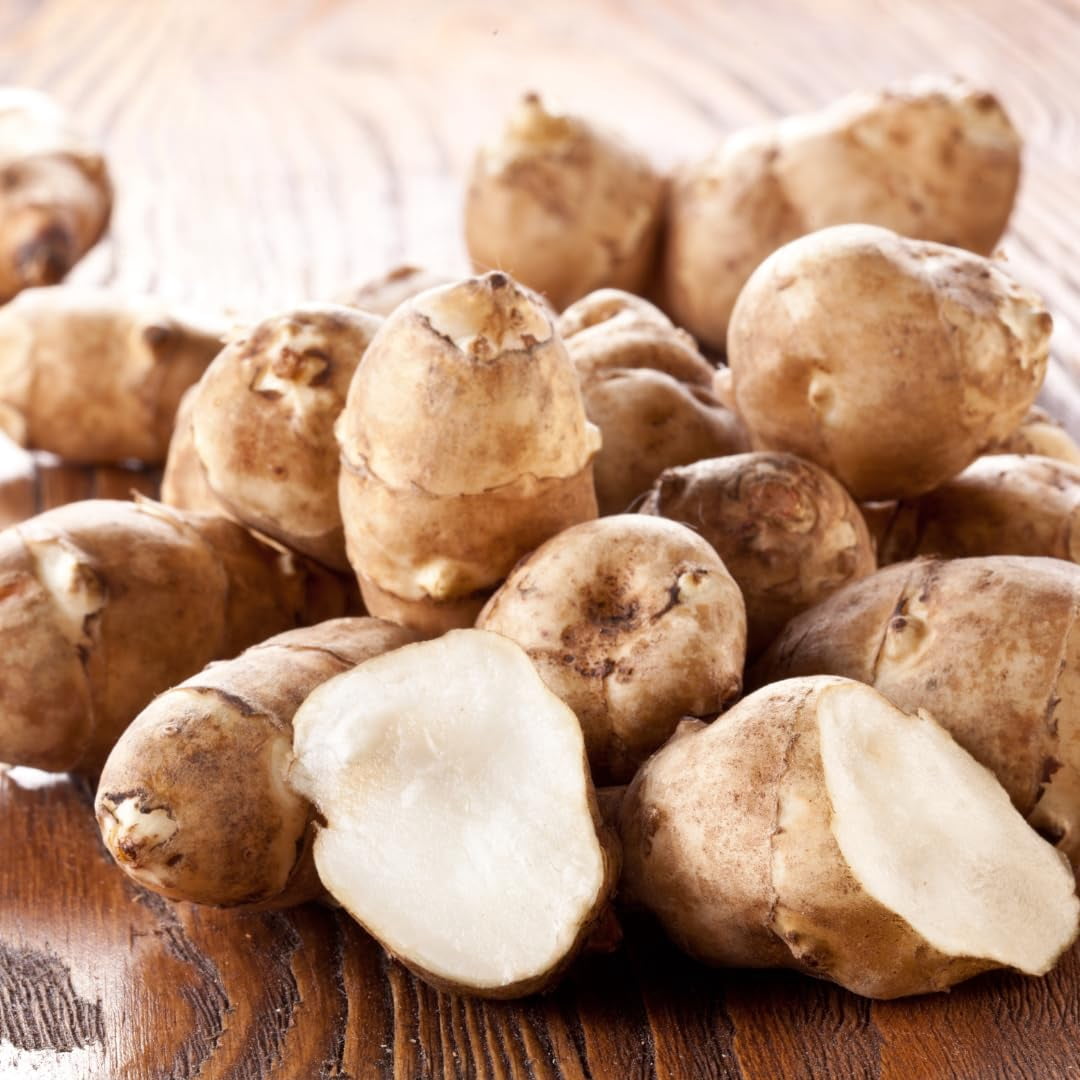 1 LB Jerusalem Artichoke Tubers, Sun Chokes Large Size and Fast-Growing ...