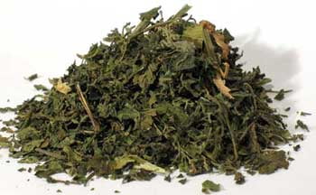 1 Lb Nettle "Stinging" Leaf cut (Urtica dioica) - Walmart.com