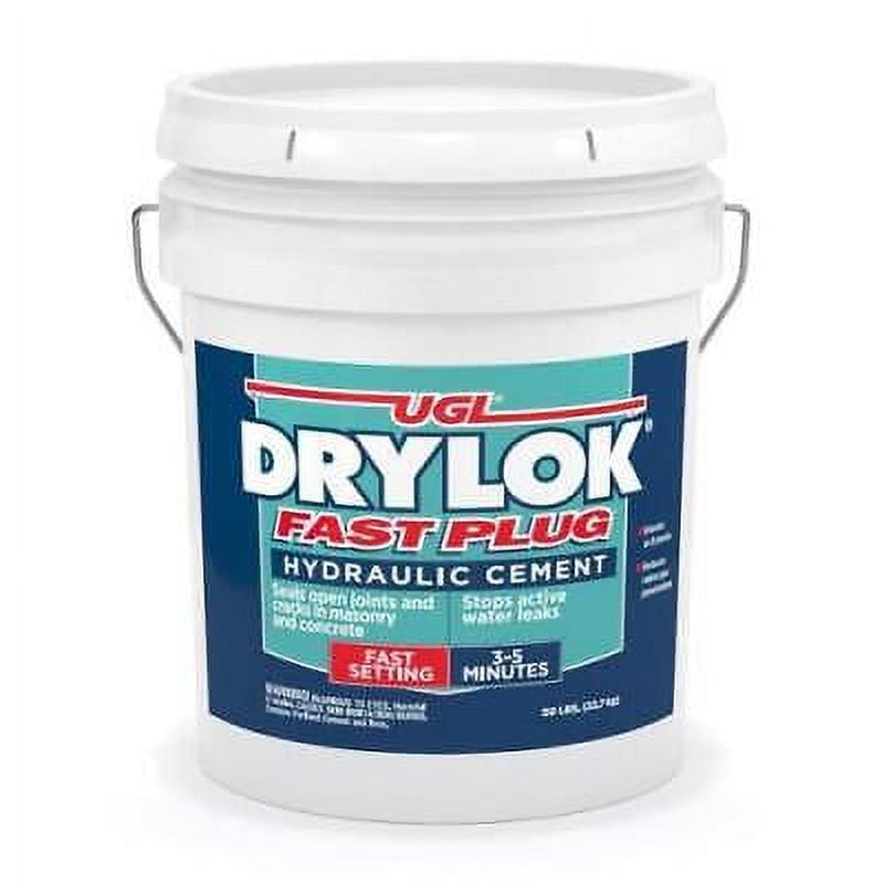 Drylok Fast Plug Quick Drying Hydraulic Cement for Crack Repair and ...