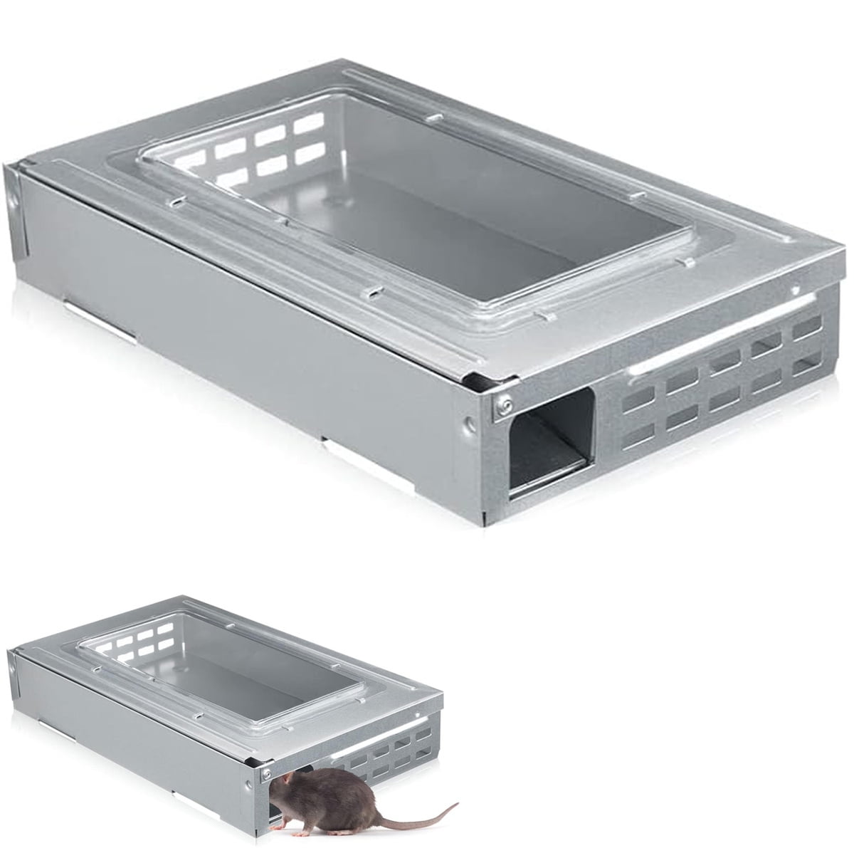 1 PC Galvanized Sheet Mouse Station,Indoor & Outdoor Continuous ...